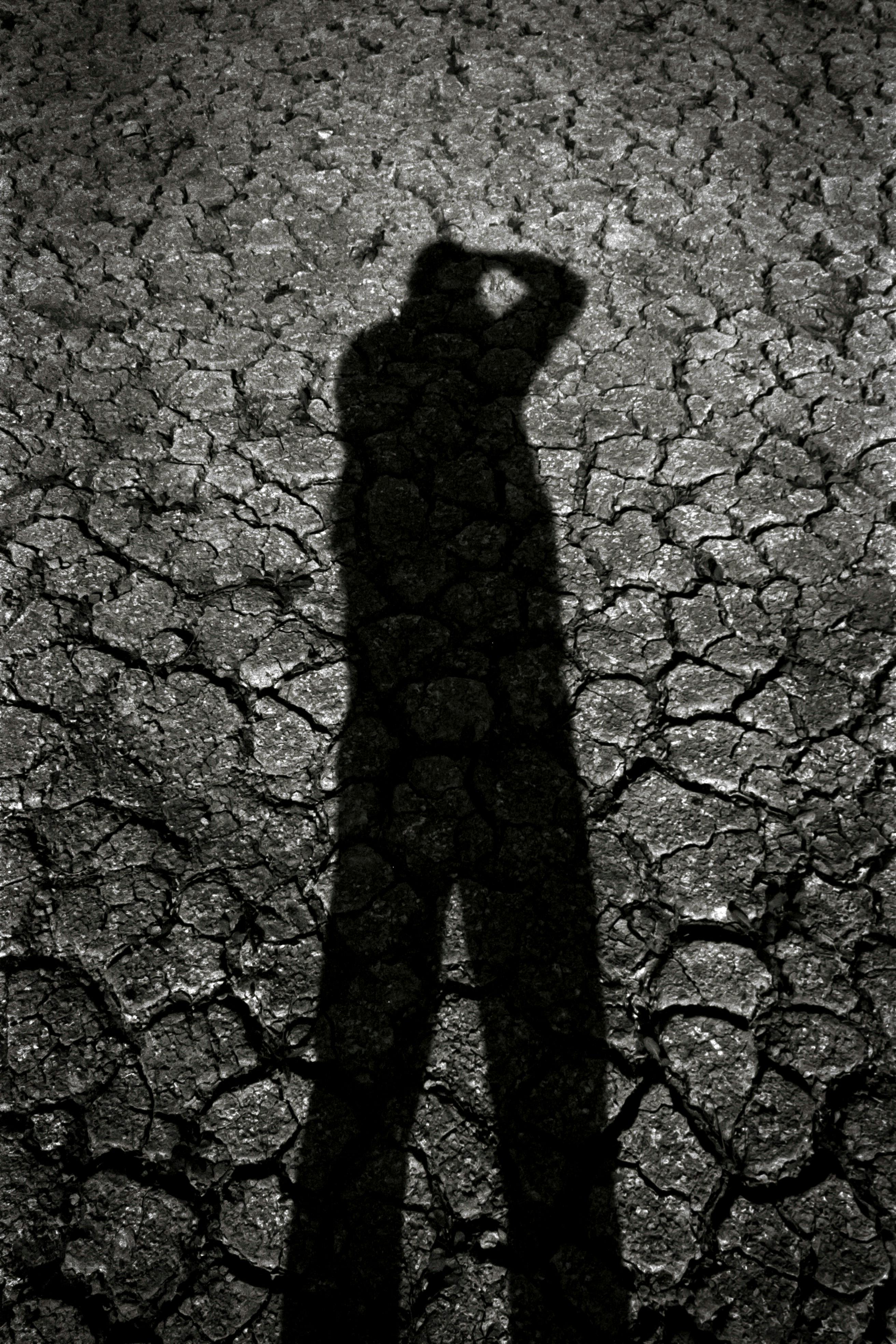 Nature Transformations Photos, Download The BEST Free Nature ...