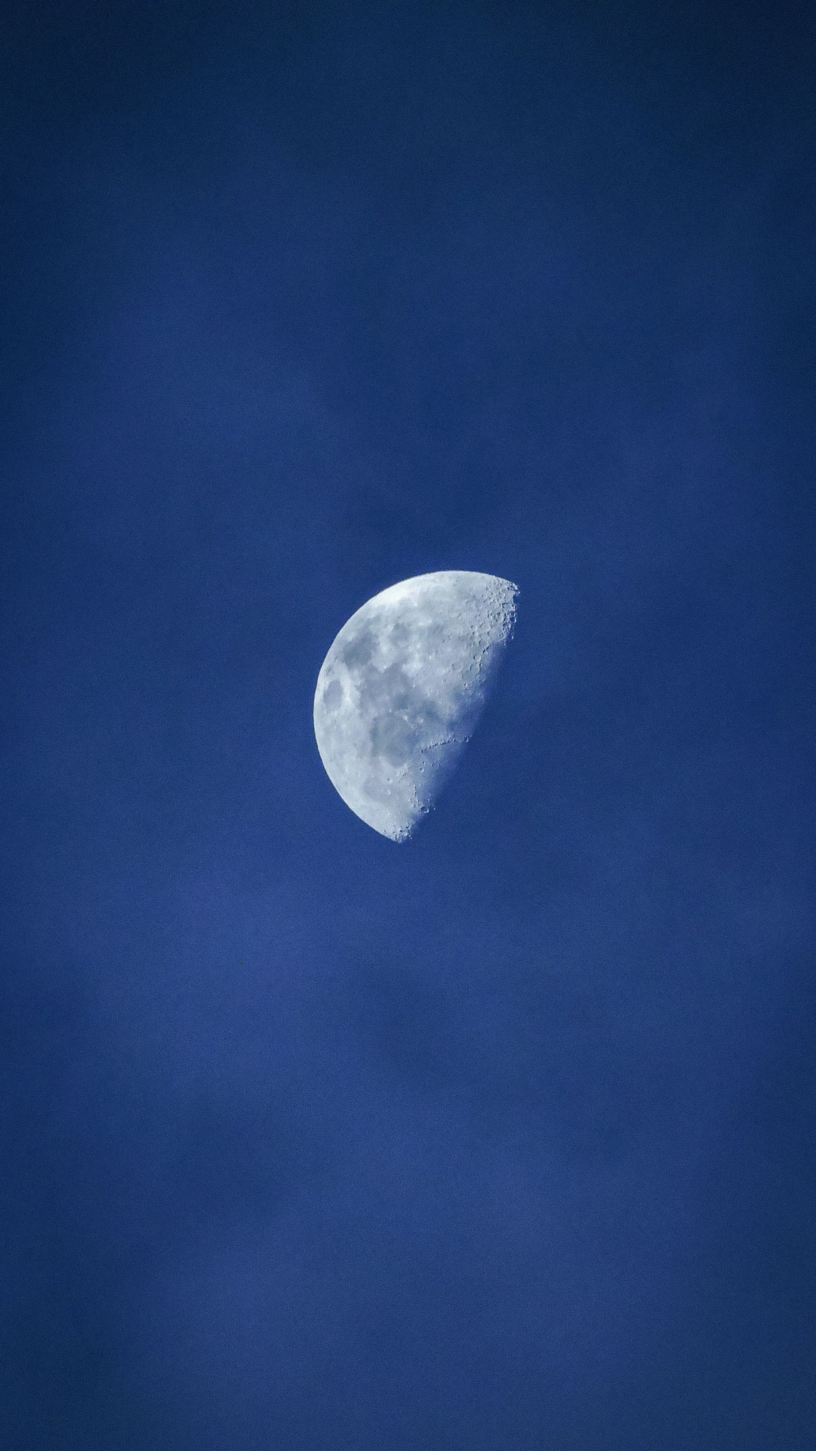Half Moon in a Deep Blue Night Sky · Free Stock Photo