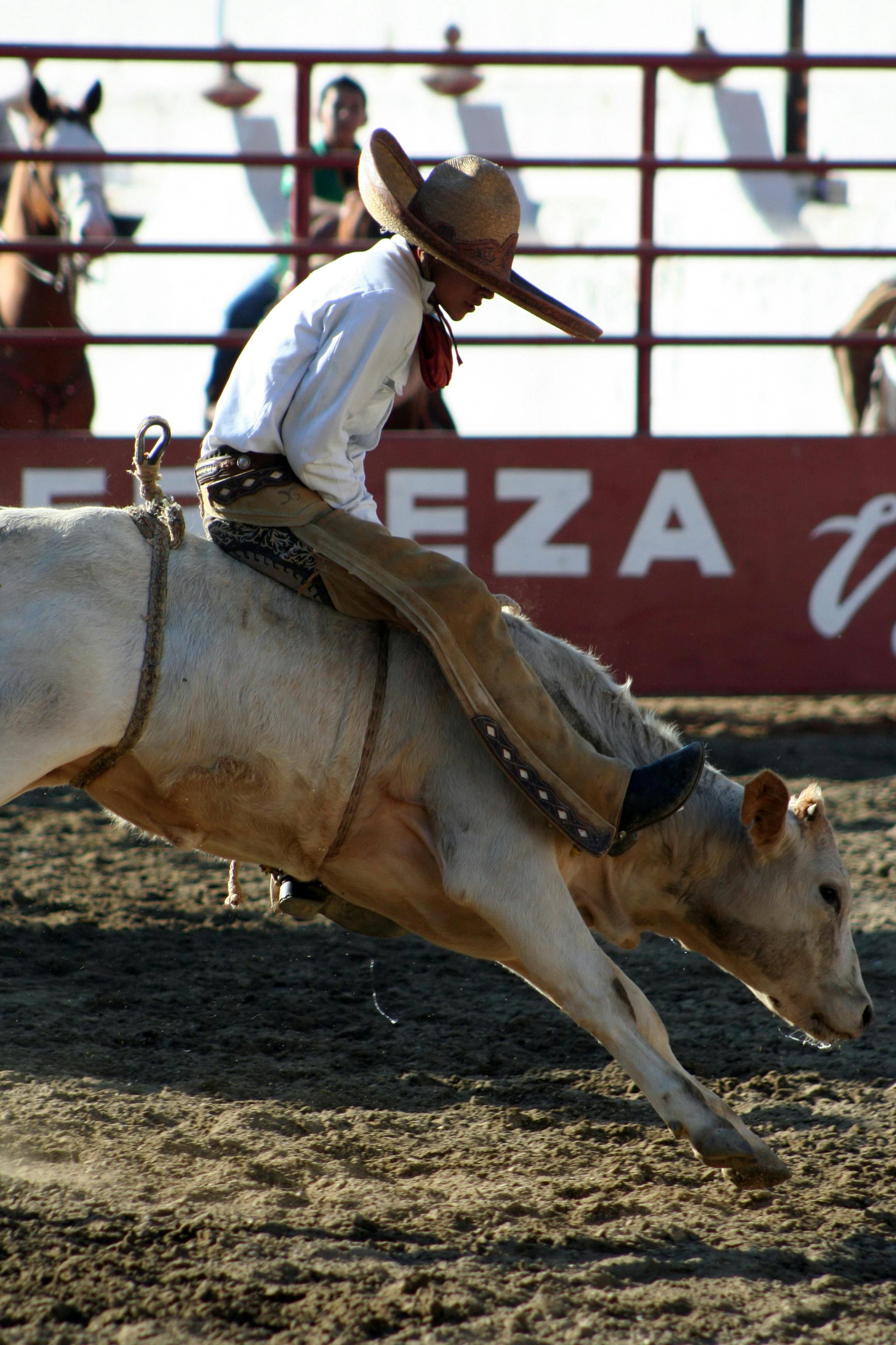 Acción Dramática De Monta De Toros En Un Rodeo · Foto de stock gratuita