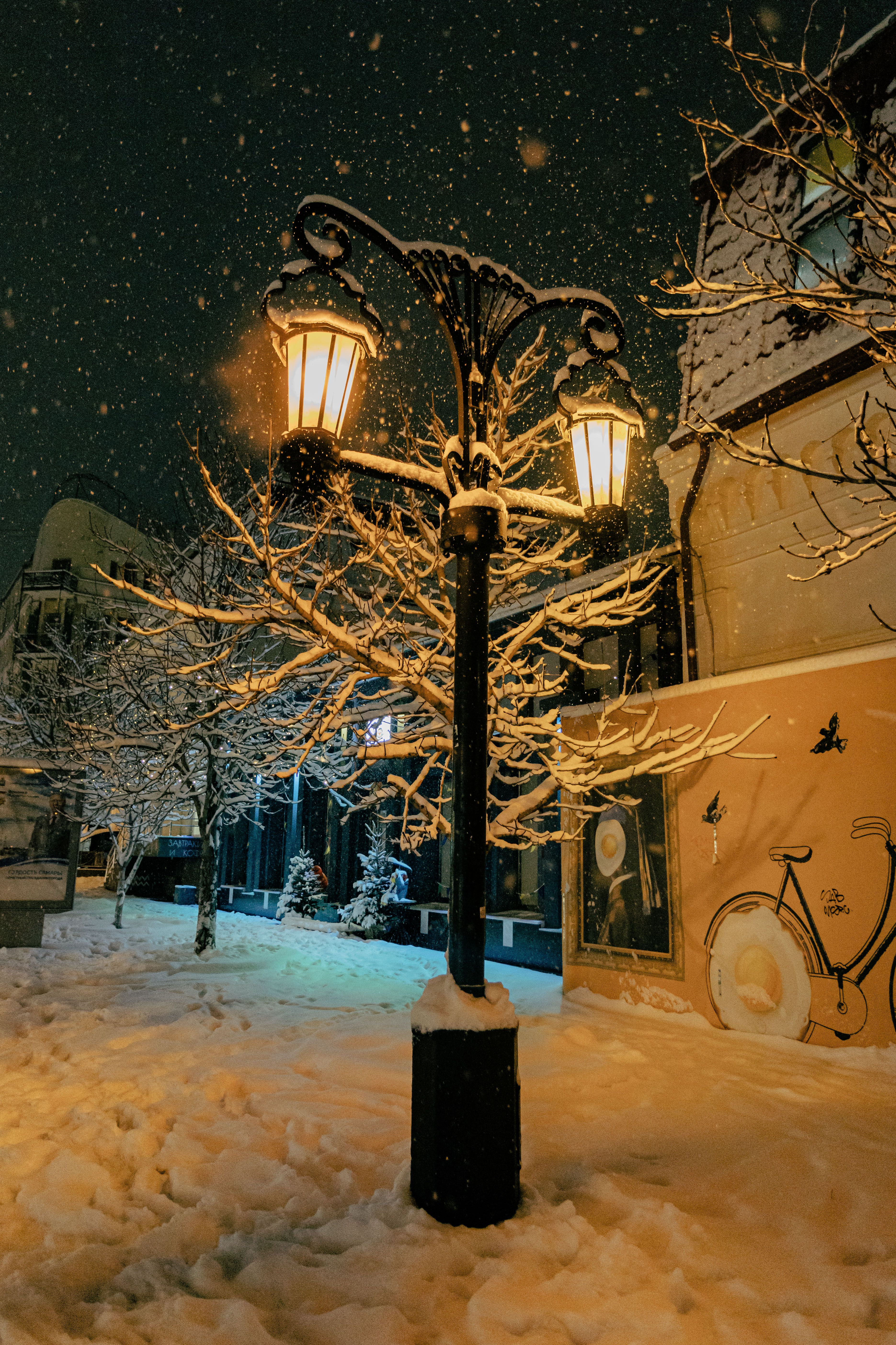 Snowy Street Lamp at Night in Winter Scene · Free Stock Photo