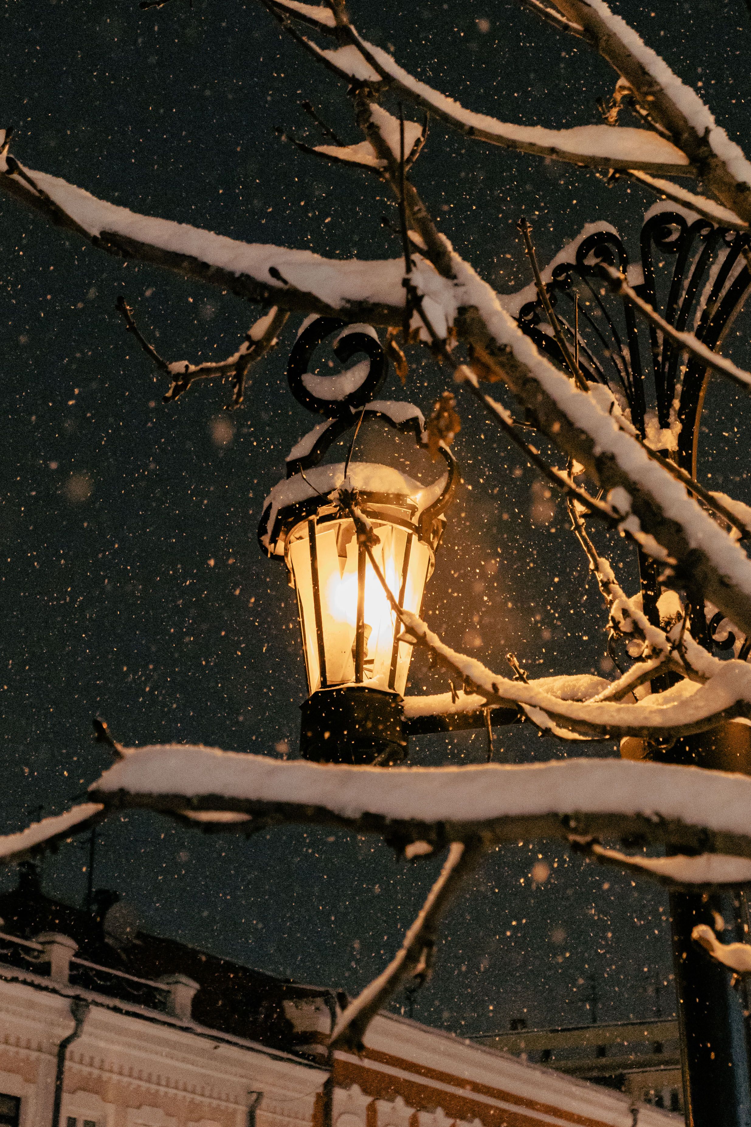 Snowy Street Lamp Illuminating Winter Night · Free Stock Photo