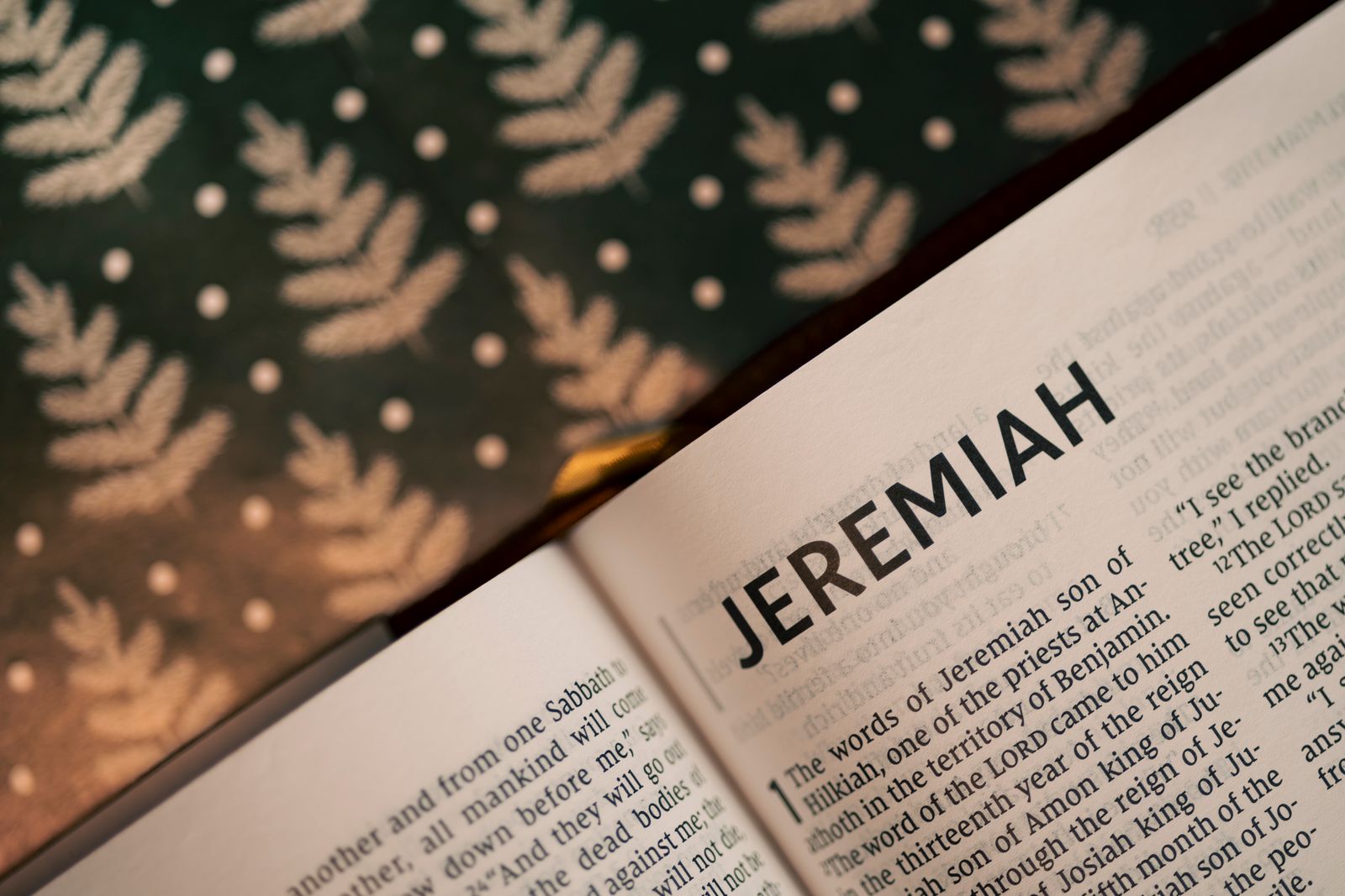 Book Of Jeremiah Bible Photos, Download The BEST Free Book Of Jeremiah ...