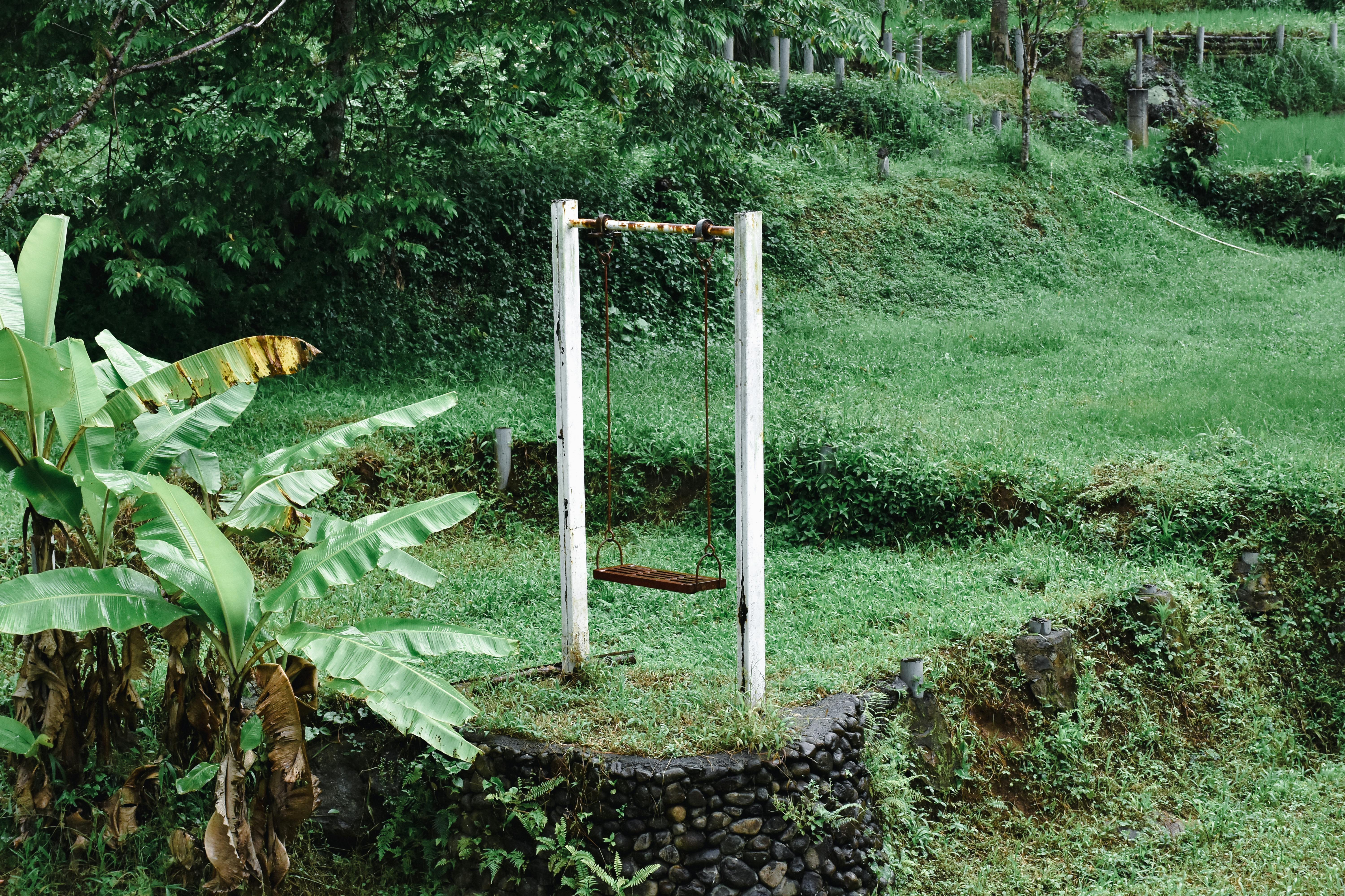 Vintage Rustic Swing in Lush Greenery · Free Stock Photo
