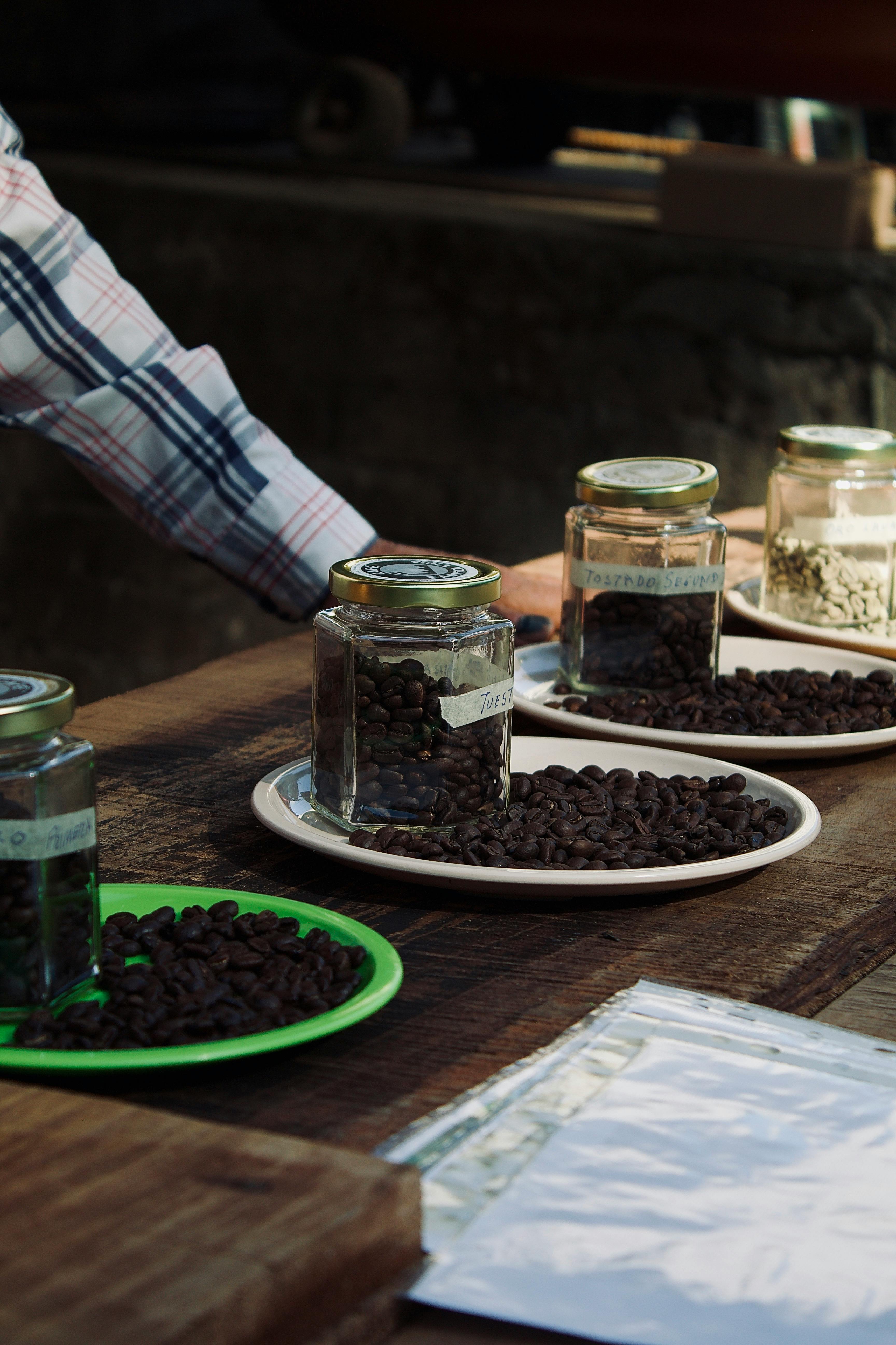 Coffee Bean Variety Display in Rustic Setting · Free Stock Photo