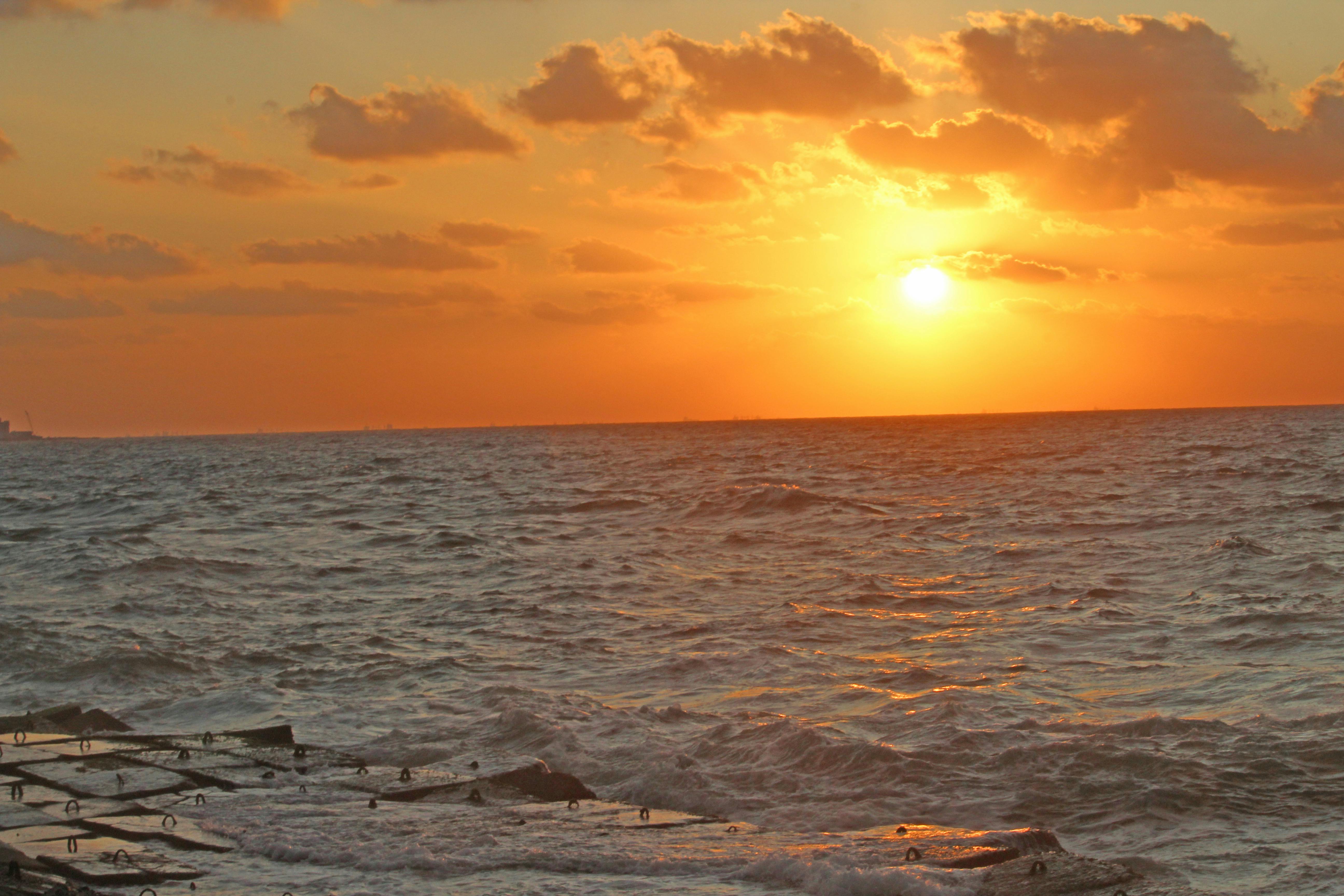Free stock photo of alexandria, beach, egypt
