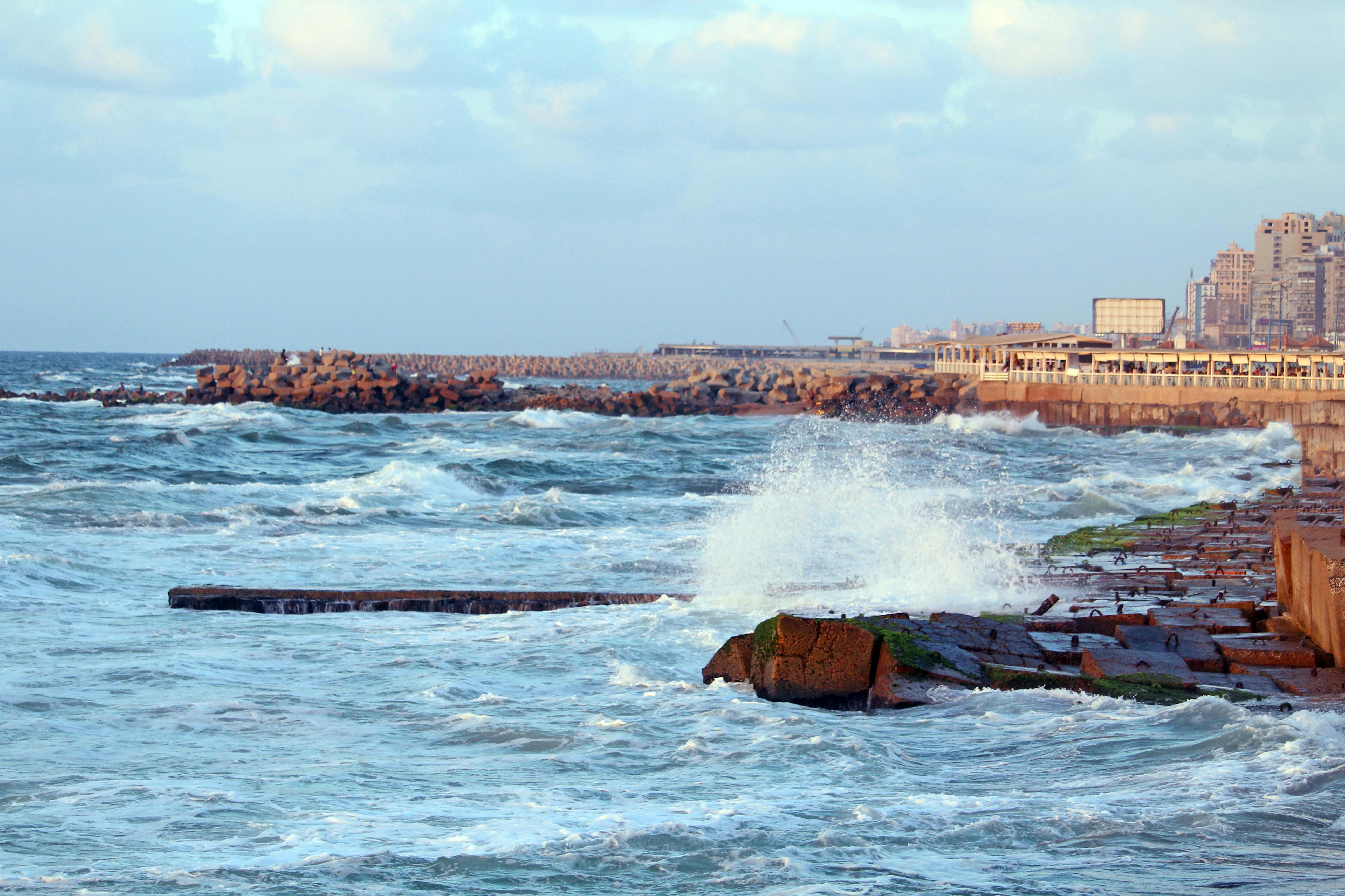 Free stock photo of alexandria, beach, egypt