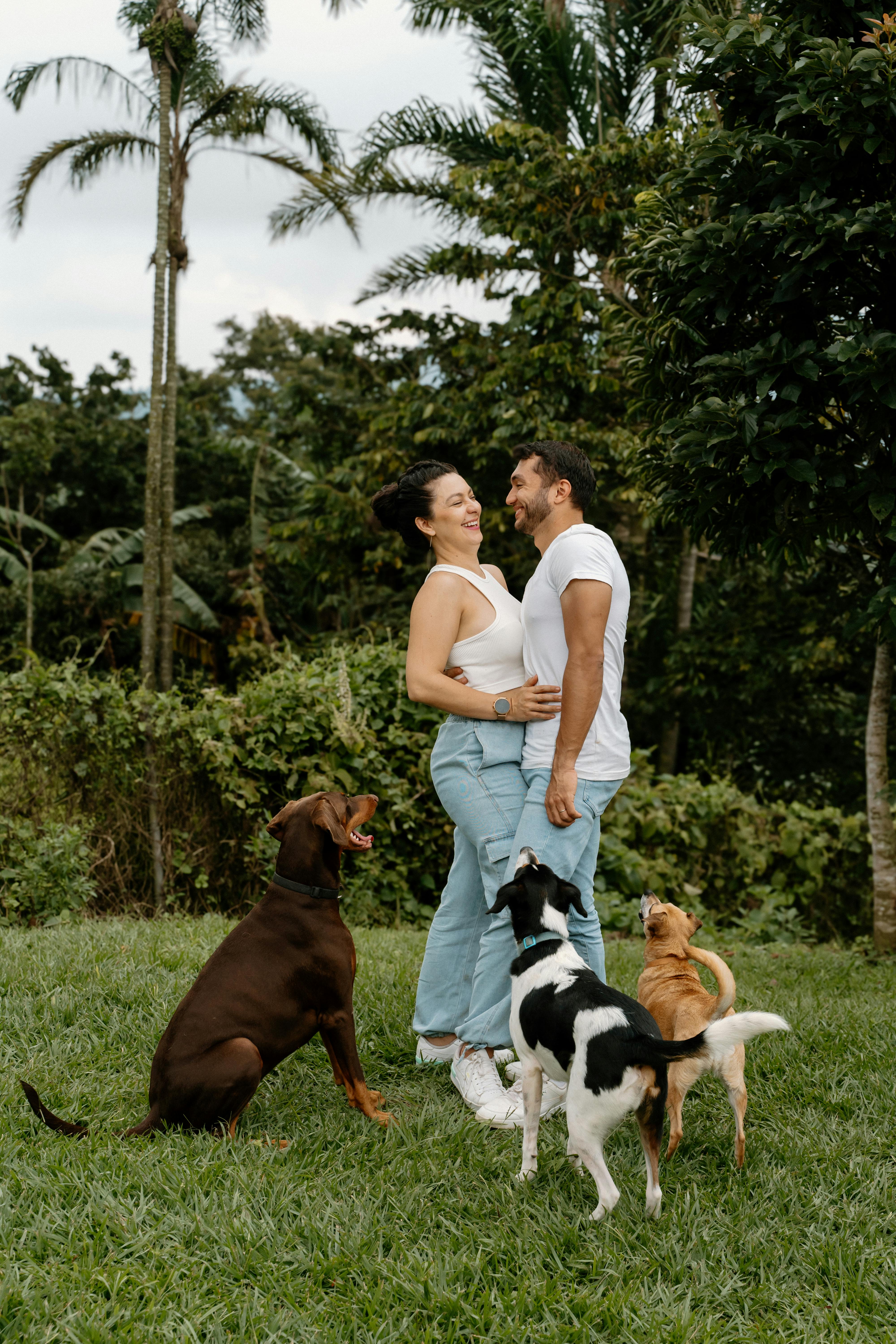 Happy Couple with Dogs in Costa Rican Greenery · Free Stock Photo