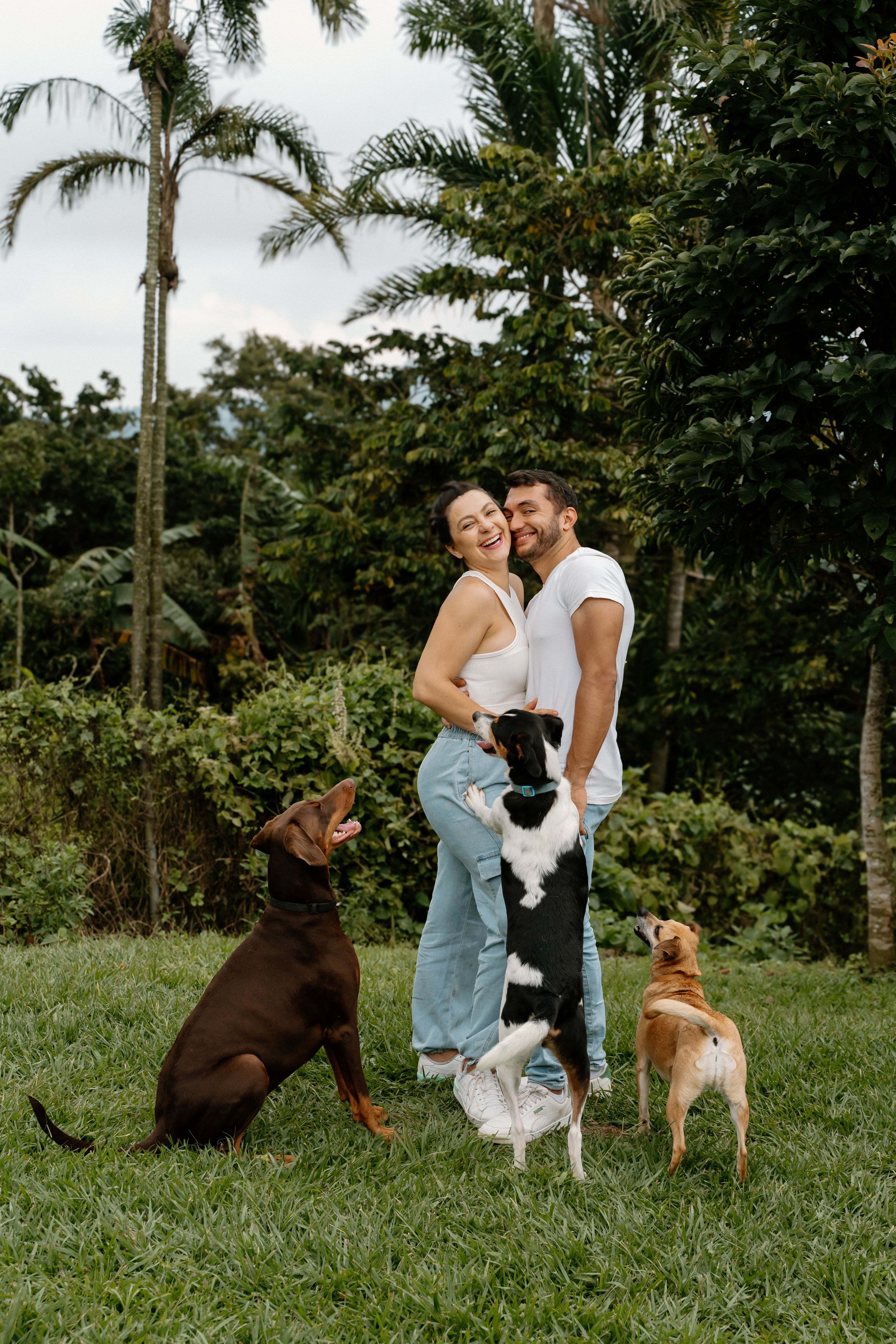 Happy Couple with Dogs in Lush Costa Rica Setting · Free Stock Photo