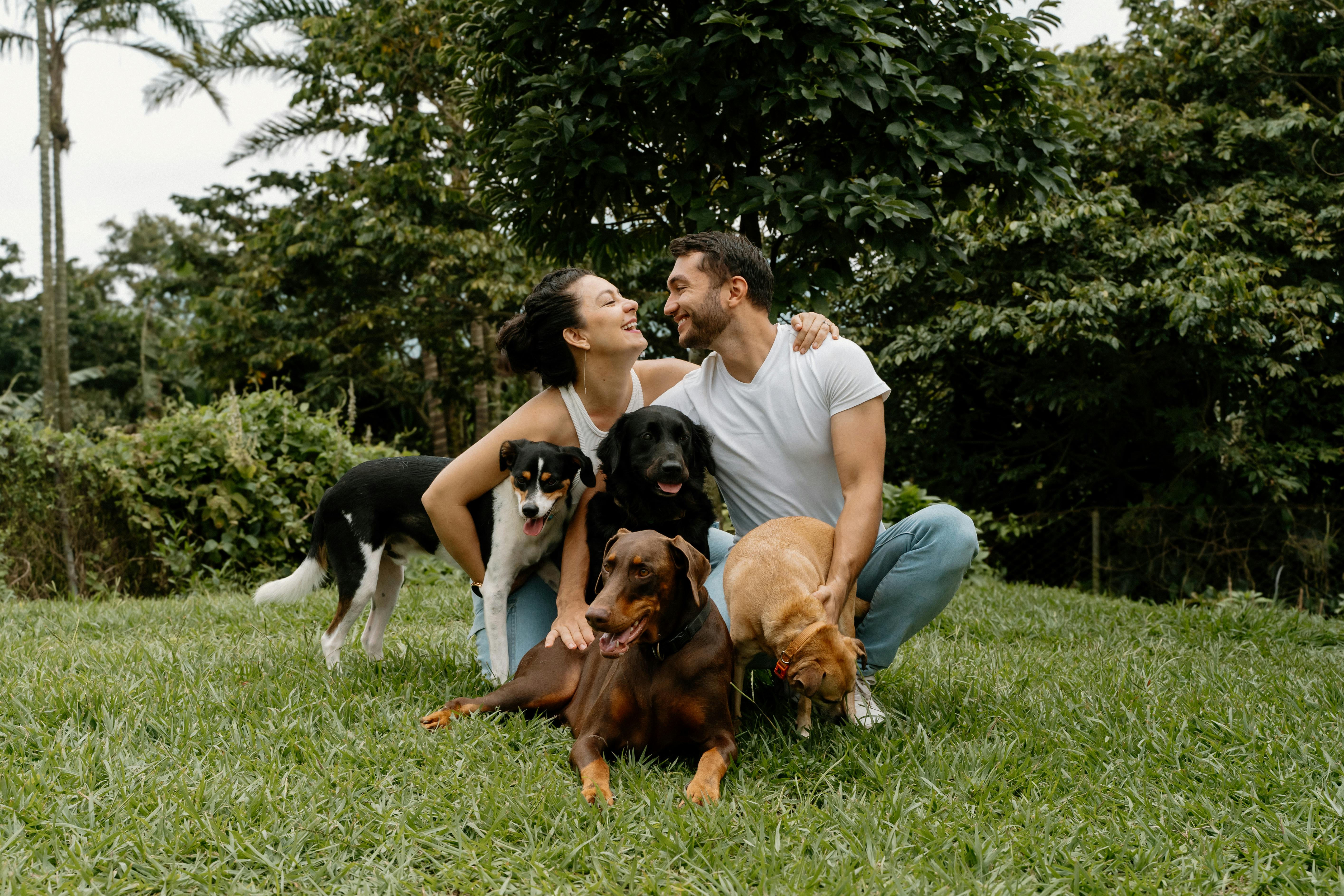 Couple Enjoying Time with Dogs in Costa Rica · Free Stock Photo