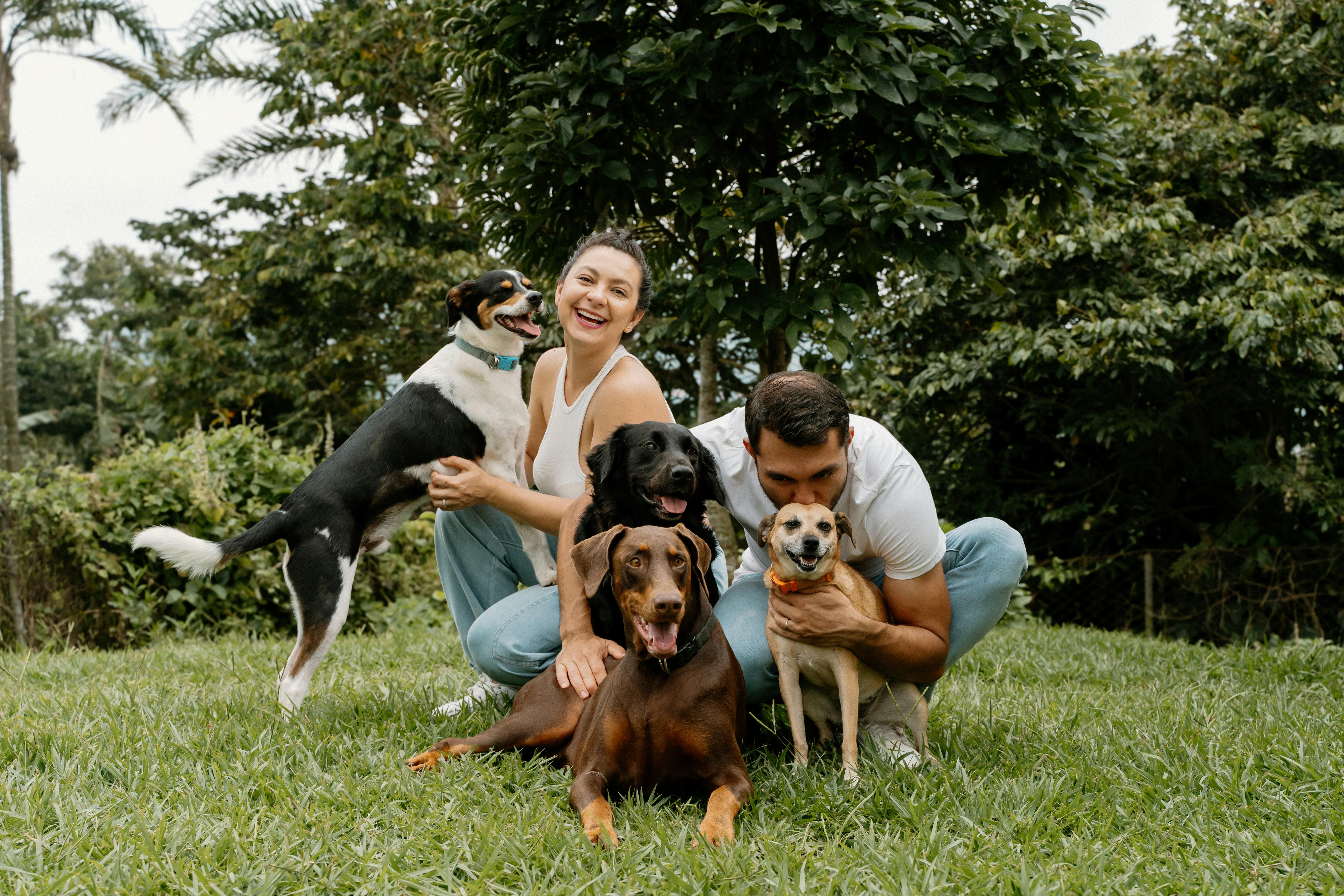 Happy Couple Enjoying Outdoor Time with Dogs · Free Stock Photo
