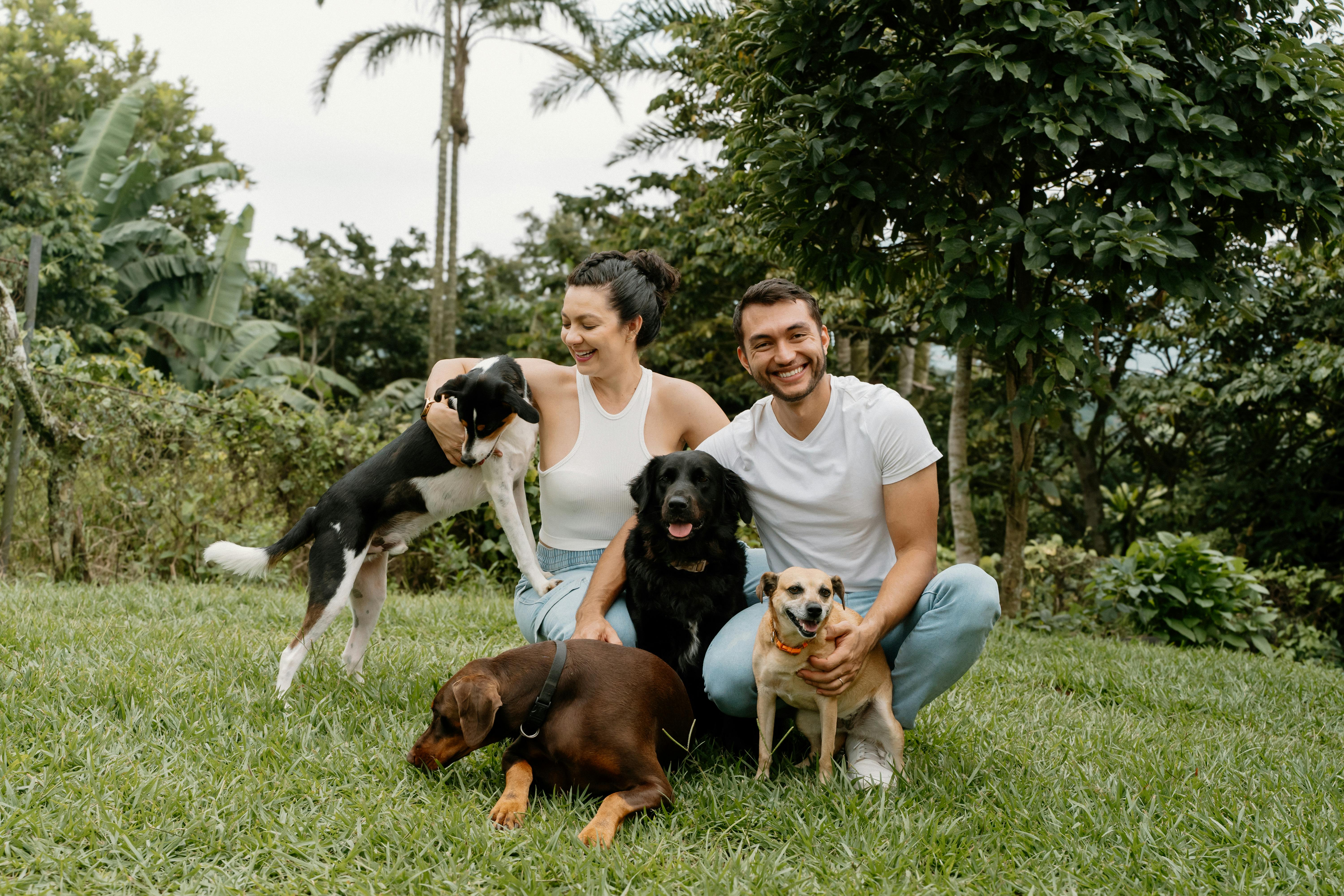 Happy couple with dogs in Costa Rican garden · Free Stock Photo