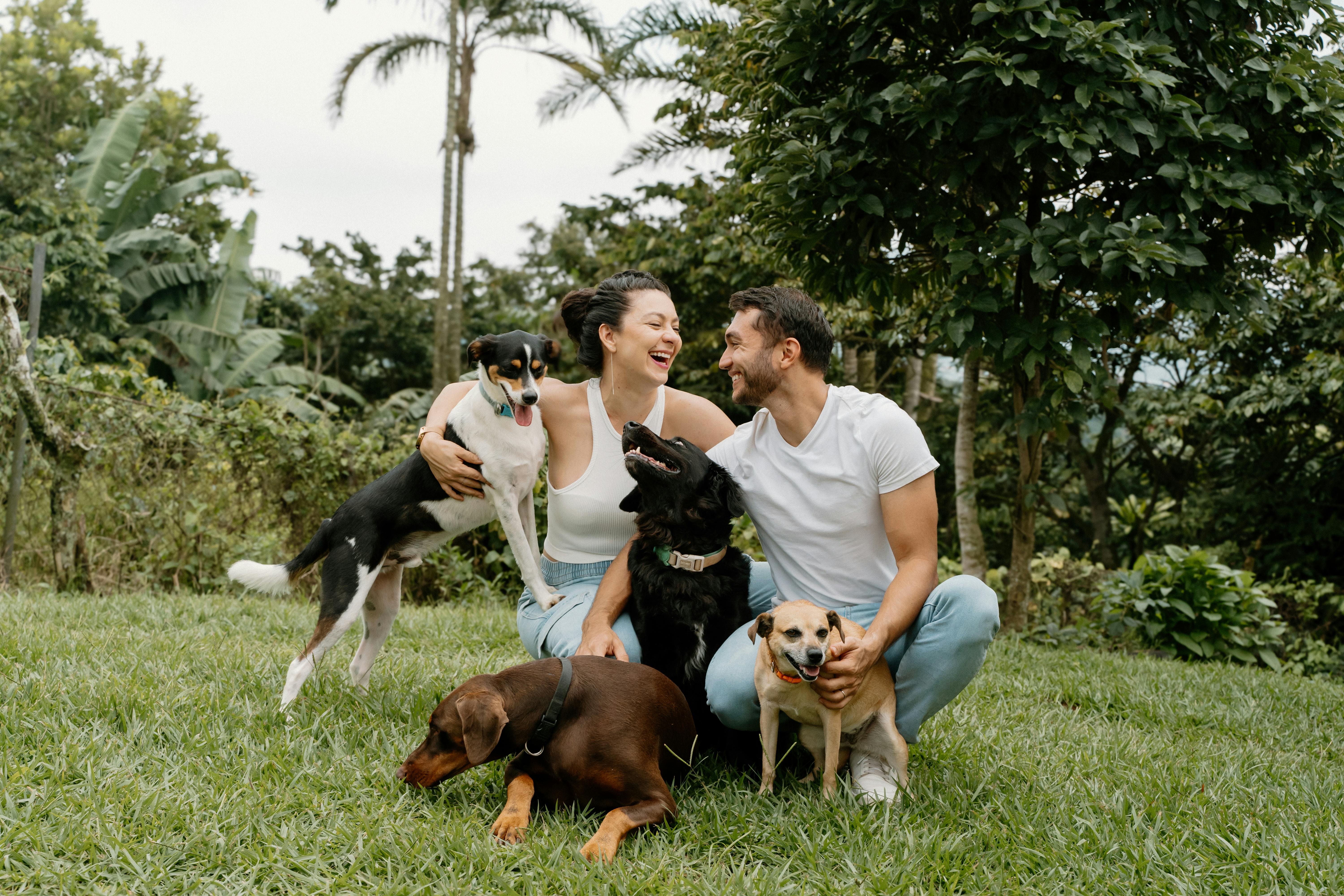 Happy Couple with Dogs in Green Costa Rican Garden · Free Stock Photo