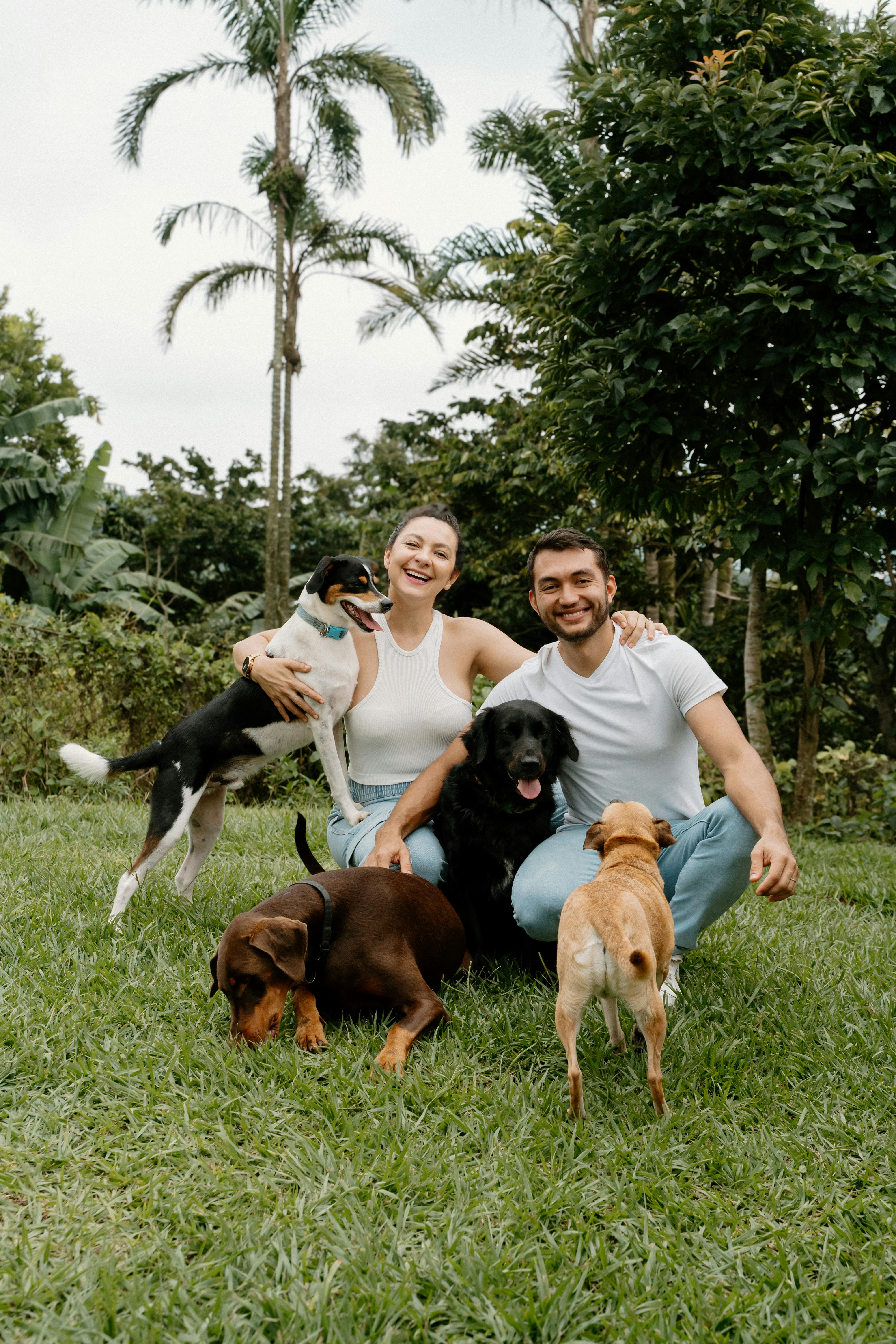 Happy Couple with Dogs in Costa Rican Park · Free Stock Photo