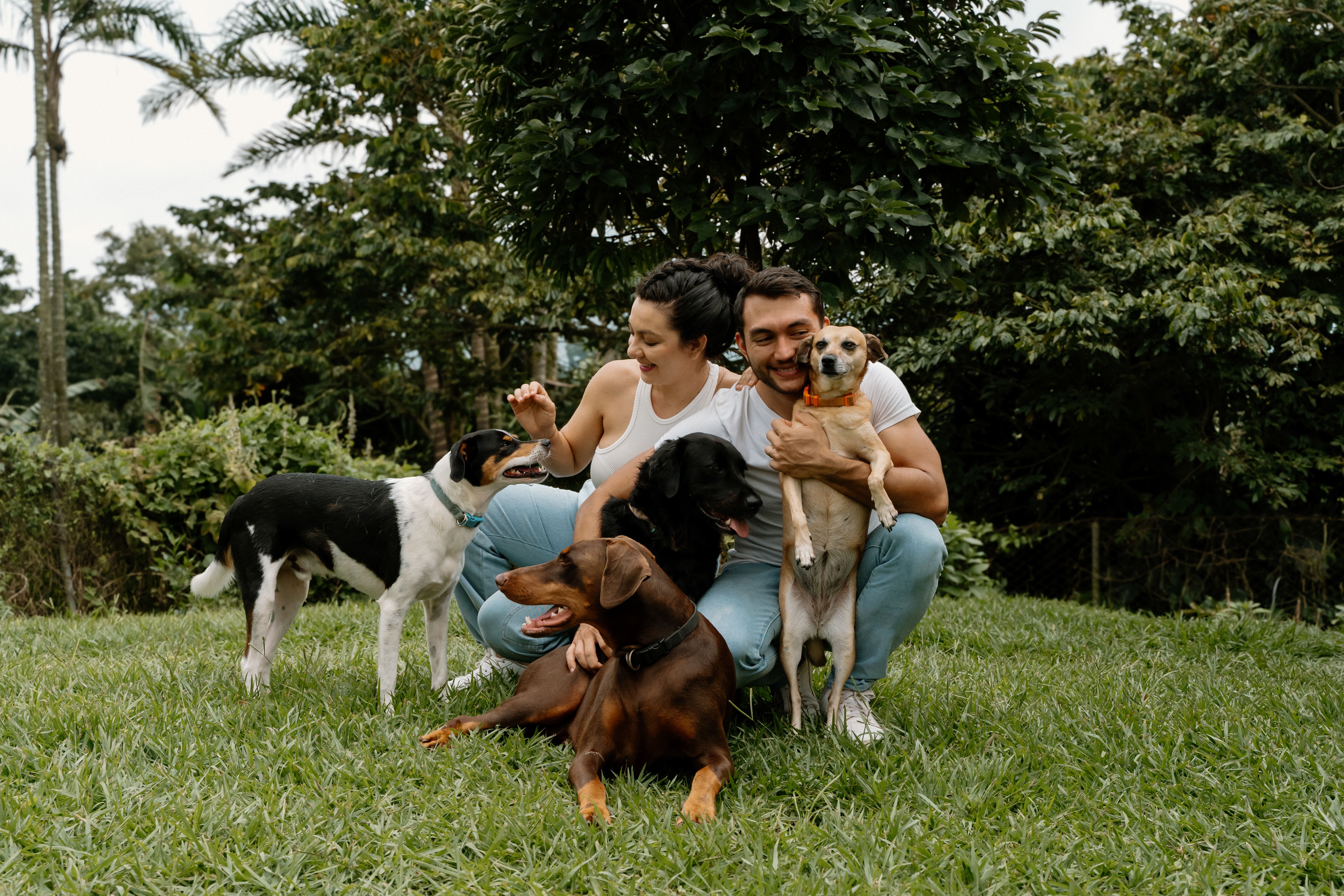 Pareja Feliz Disfrutando De Su Tiempo Con Perros En Costa Rica · Foto ...