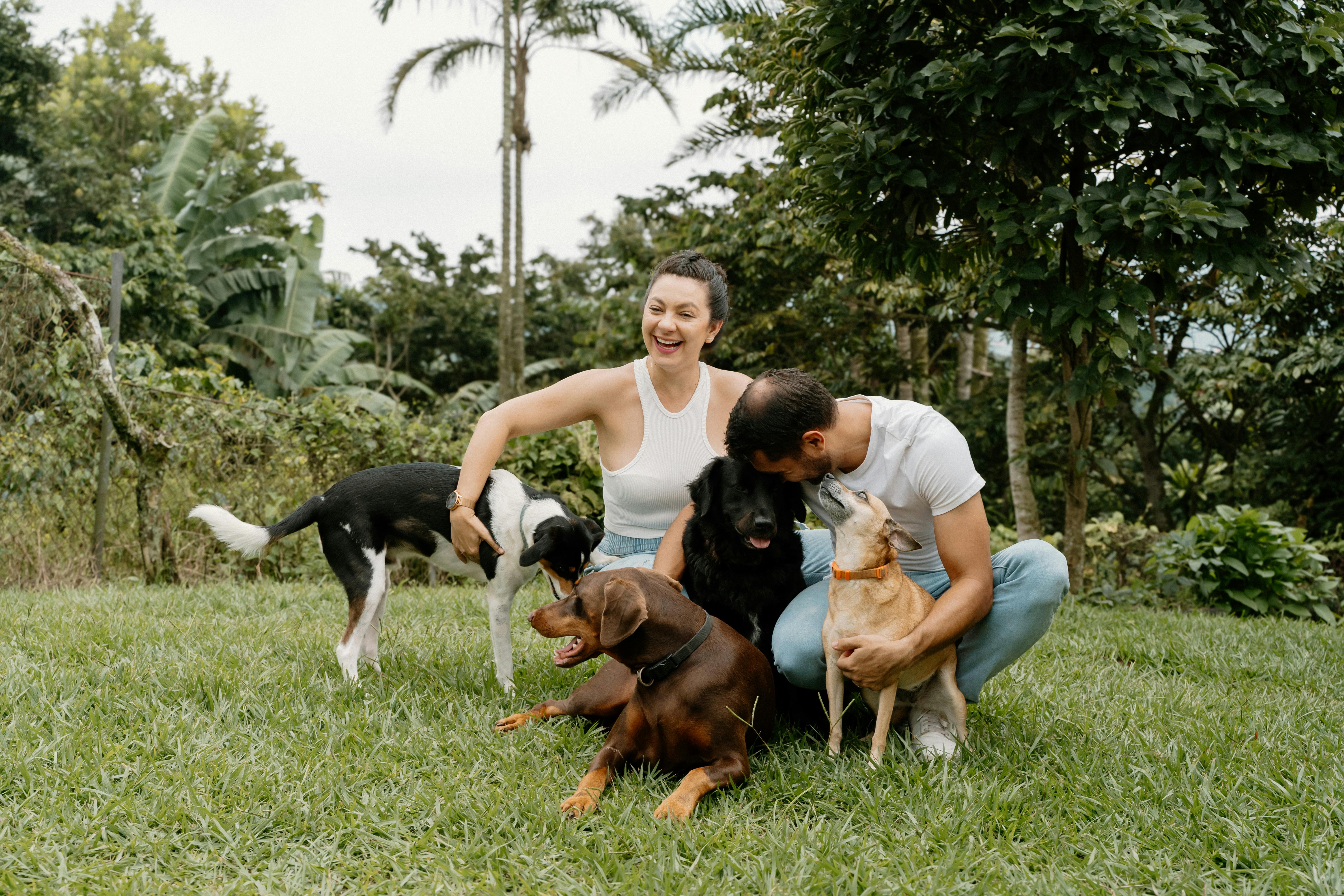 Happy Couple Playing with Dogs in Costa Rican Garden · Free Stock Photo