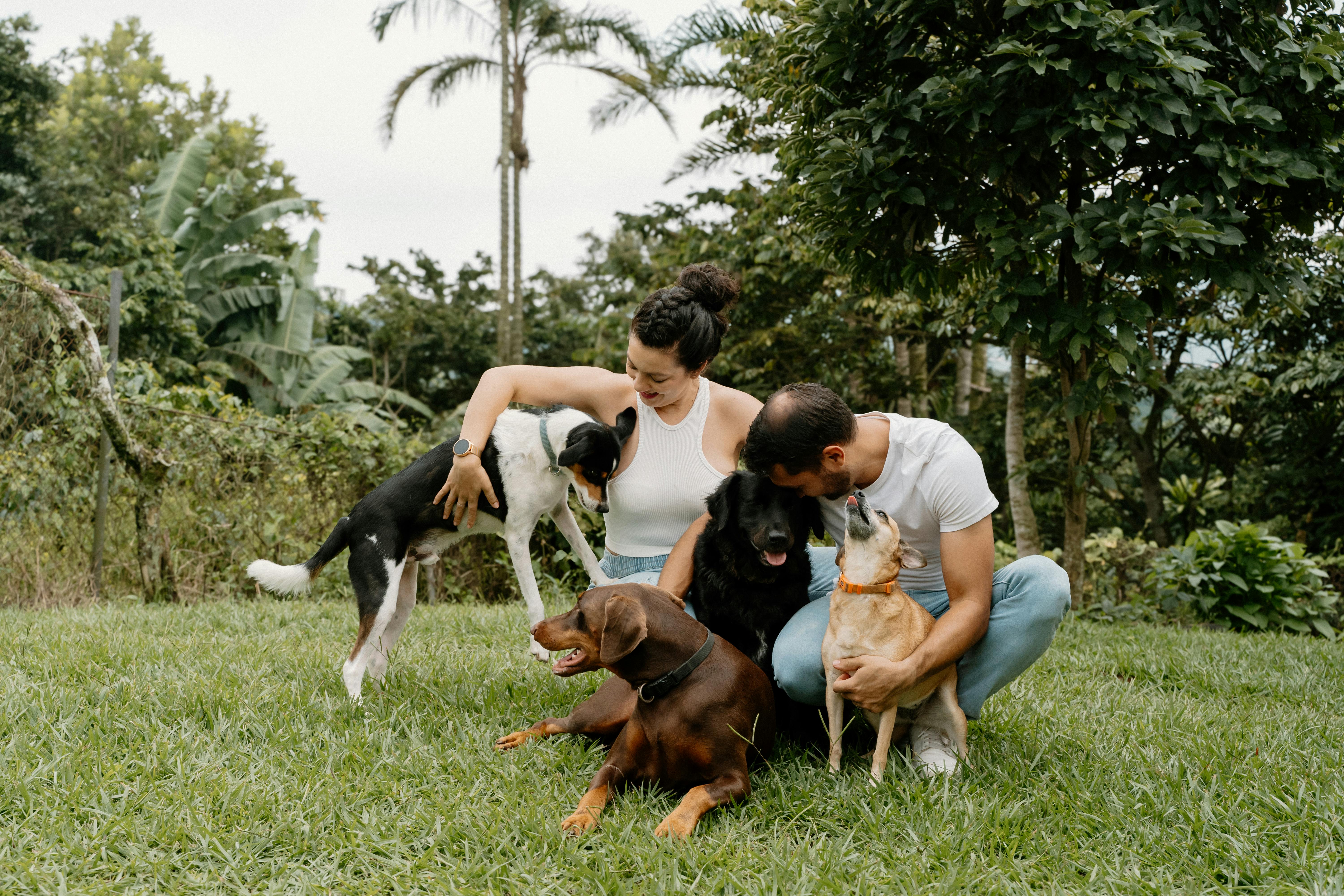 Happy Couple Enjoying Outdoor Time with Dogs · Free Stock Photo