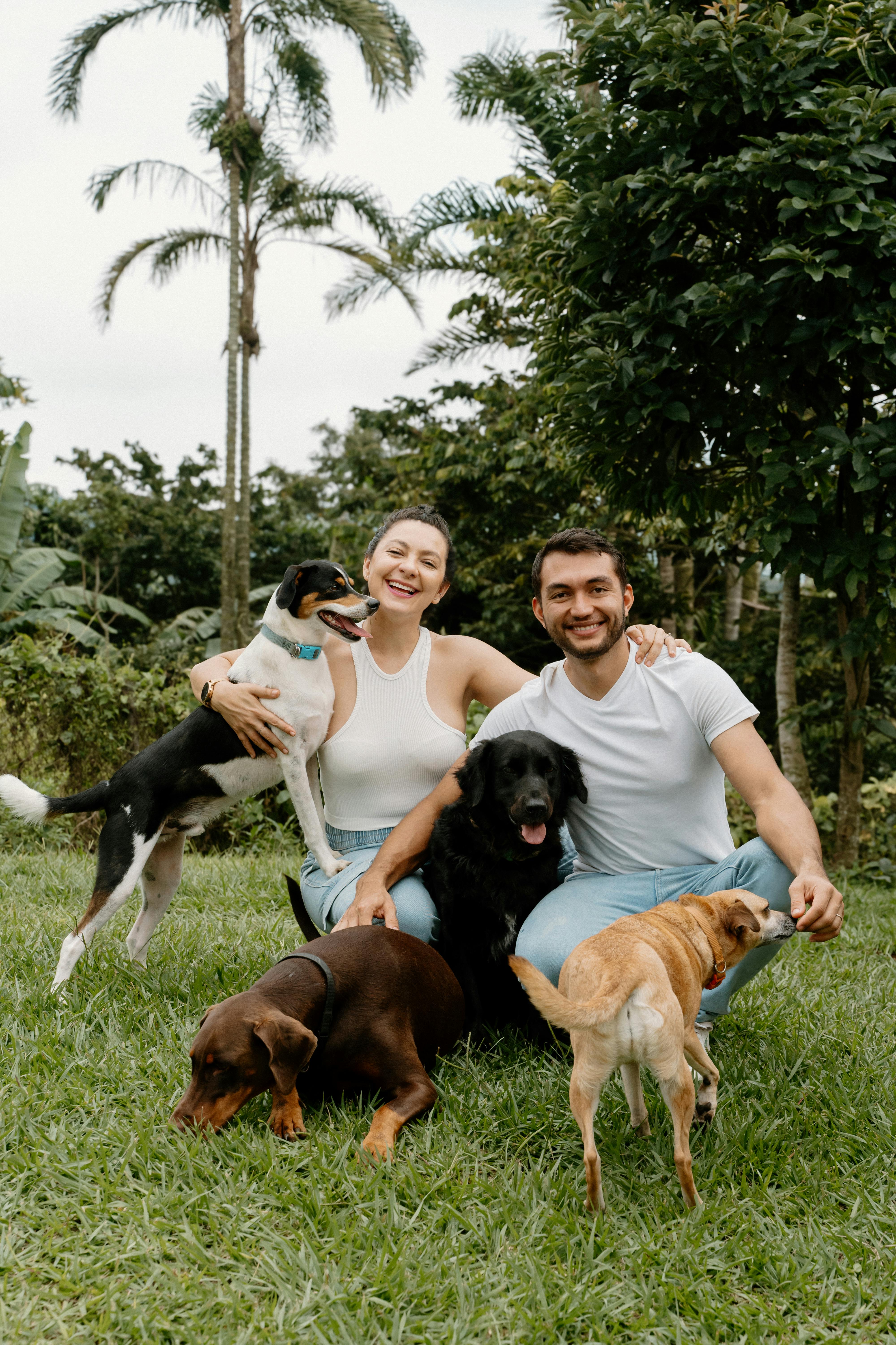 Happy Couple with Dogs in Costa Rican Garden · Free Stock Photo