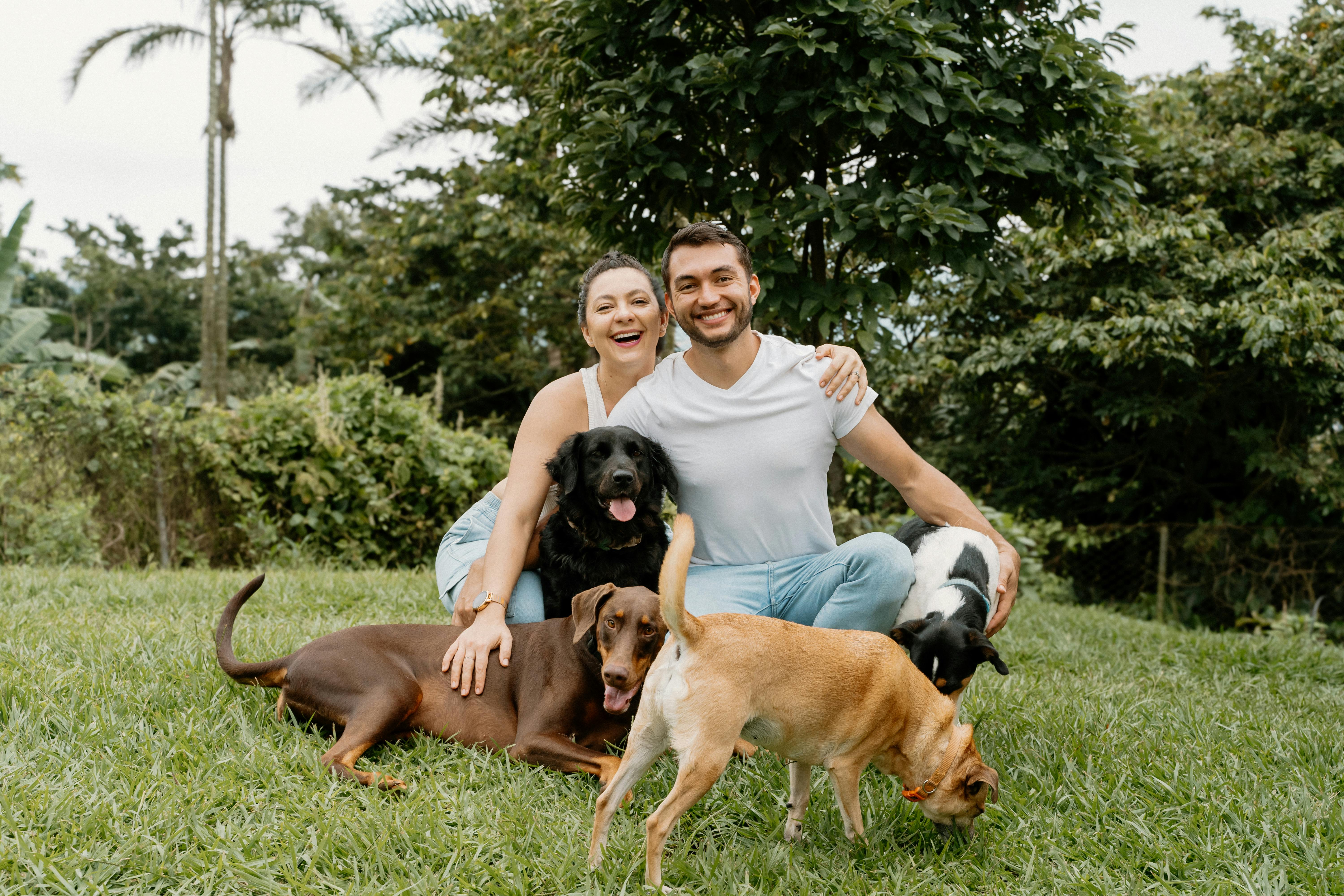 Happy Couple with Dogs in Costa Rican Nature · Free Stock Photo