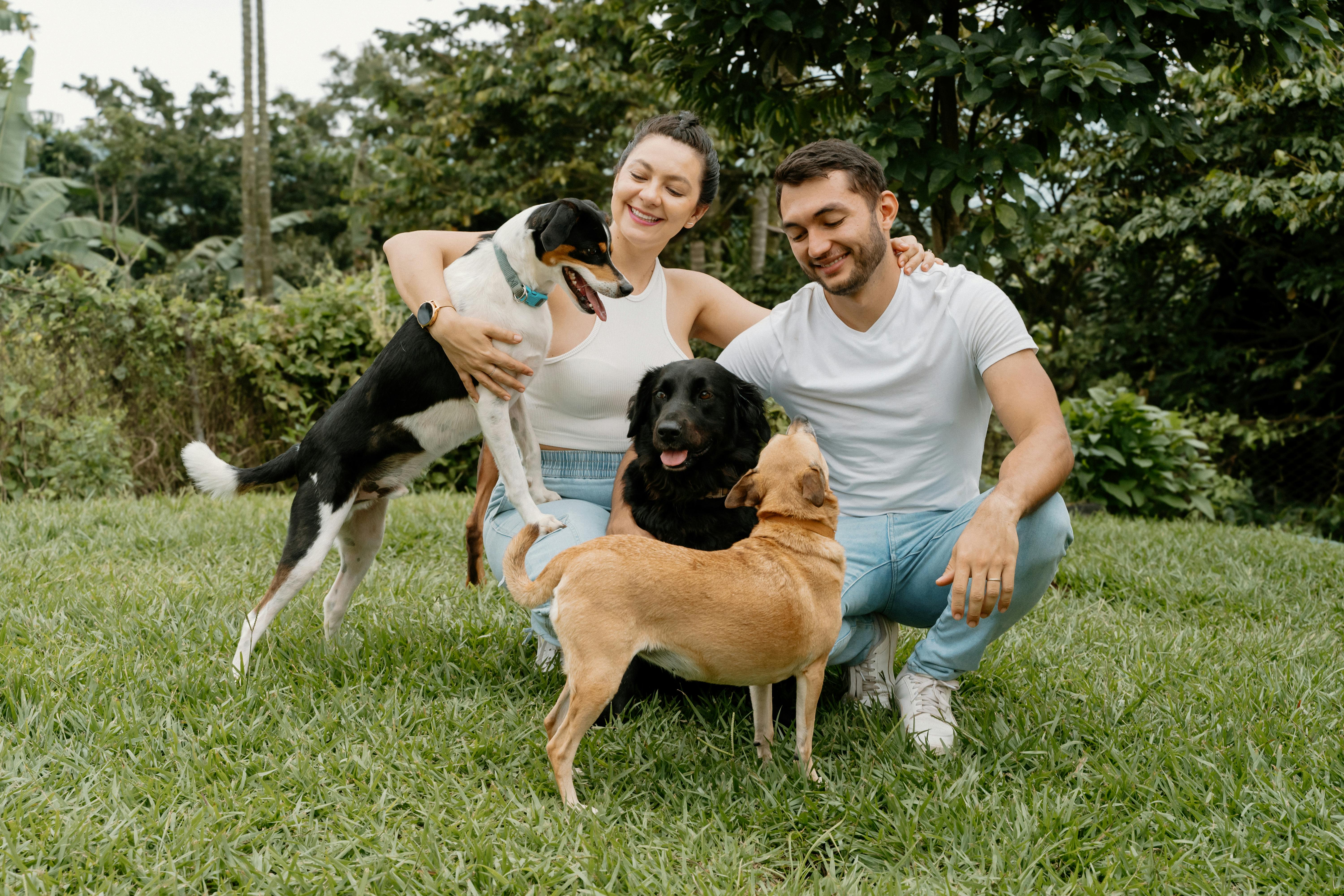 Happy Couple with Dogs in Costa Rican Garden · Free Stock Photo
