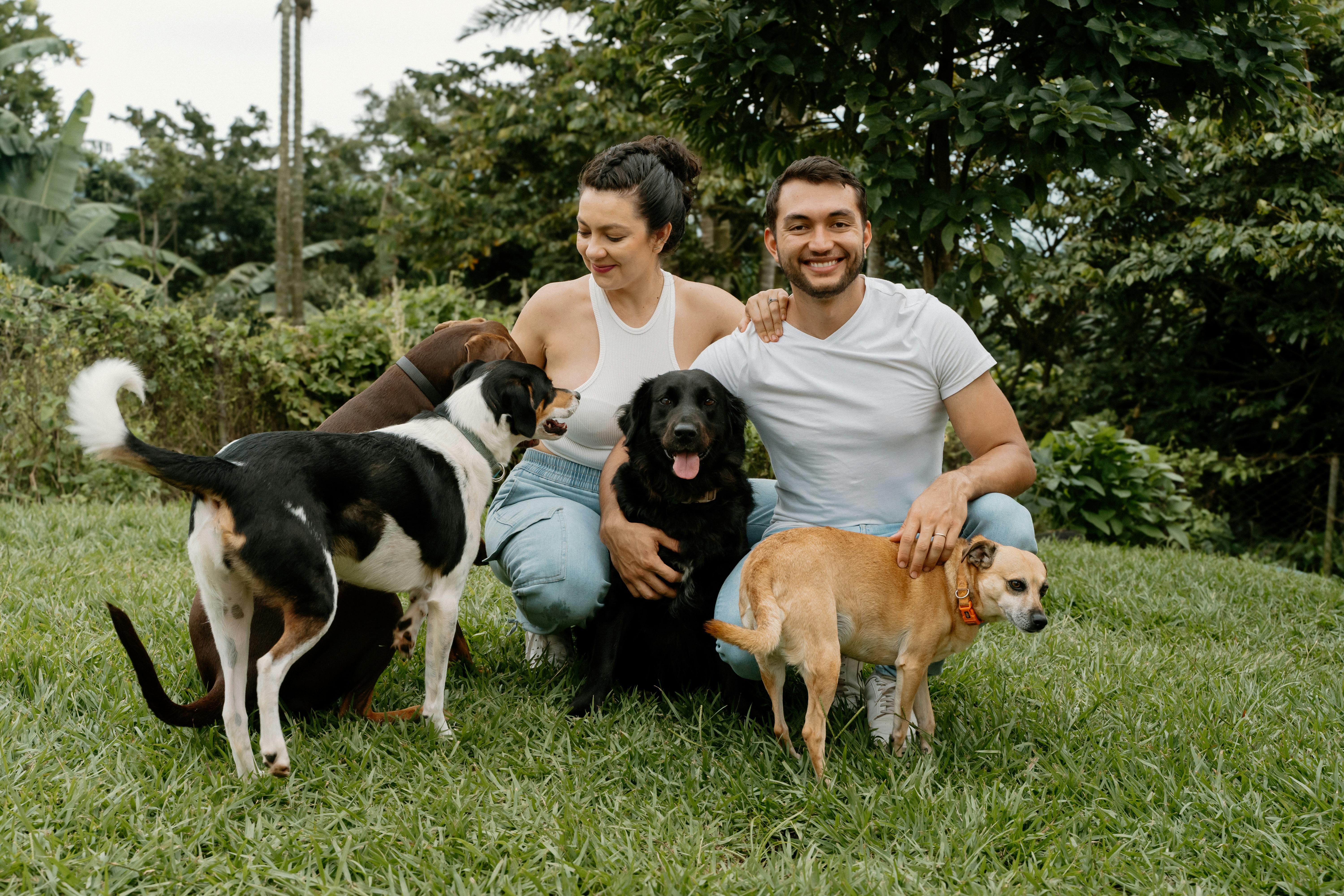 Happy Couple with Dogs in Costa Rican Garden · Free Stock Photo