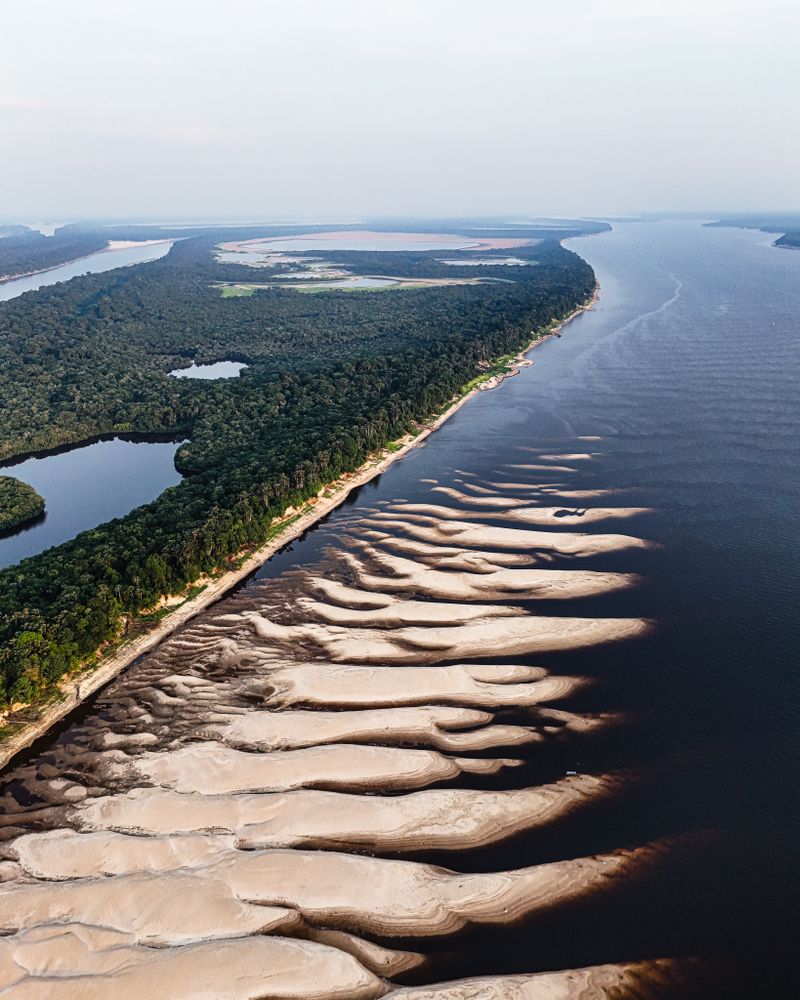 Amazon Rainforest Aerial View Photos, Download The BEST Free Amazon ...