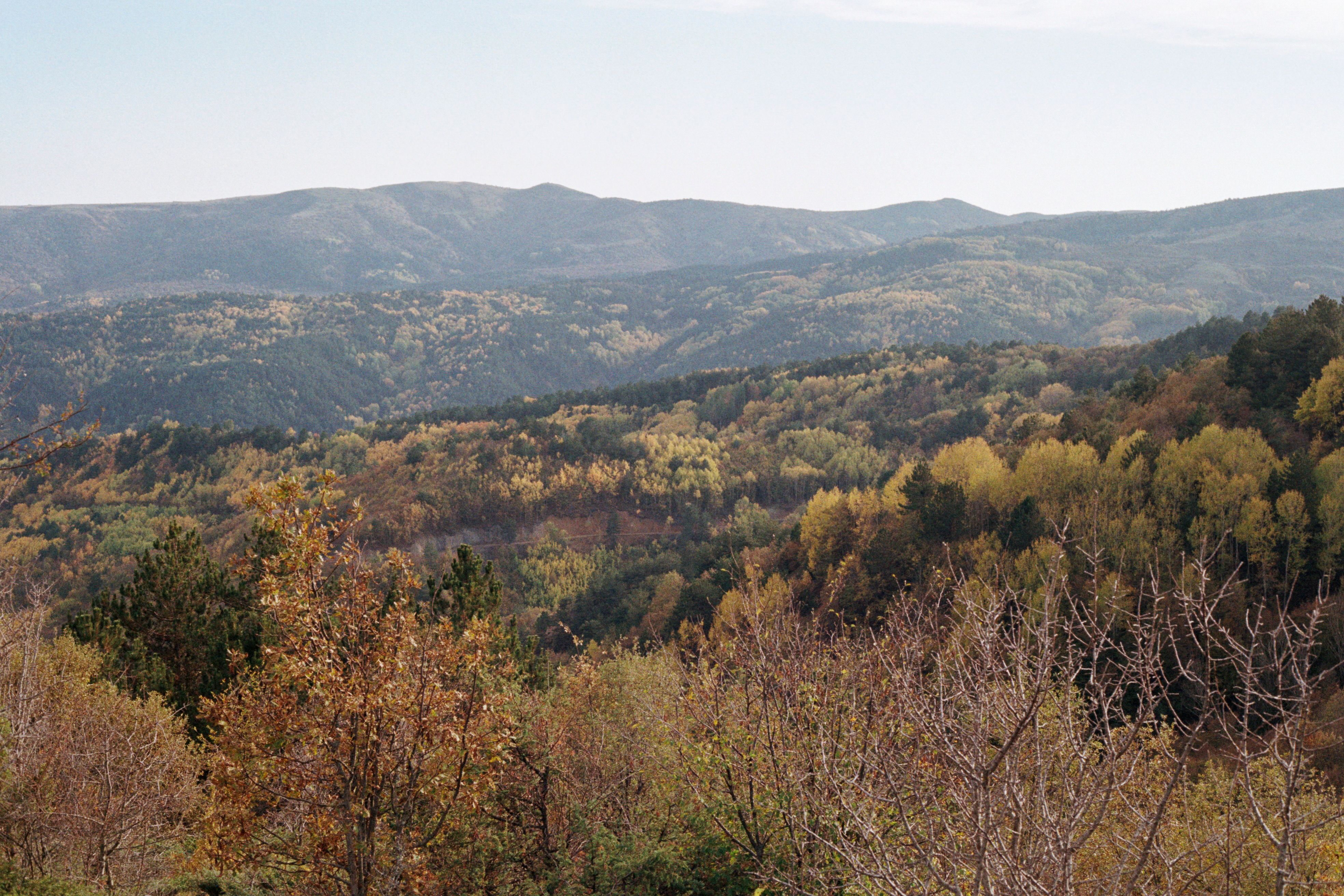 Scenic Autumn Landscape of Rolling Hills and Forest · Free Stock Photo