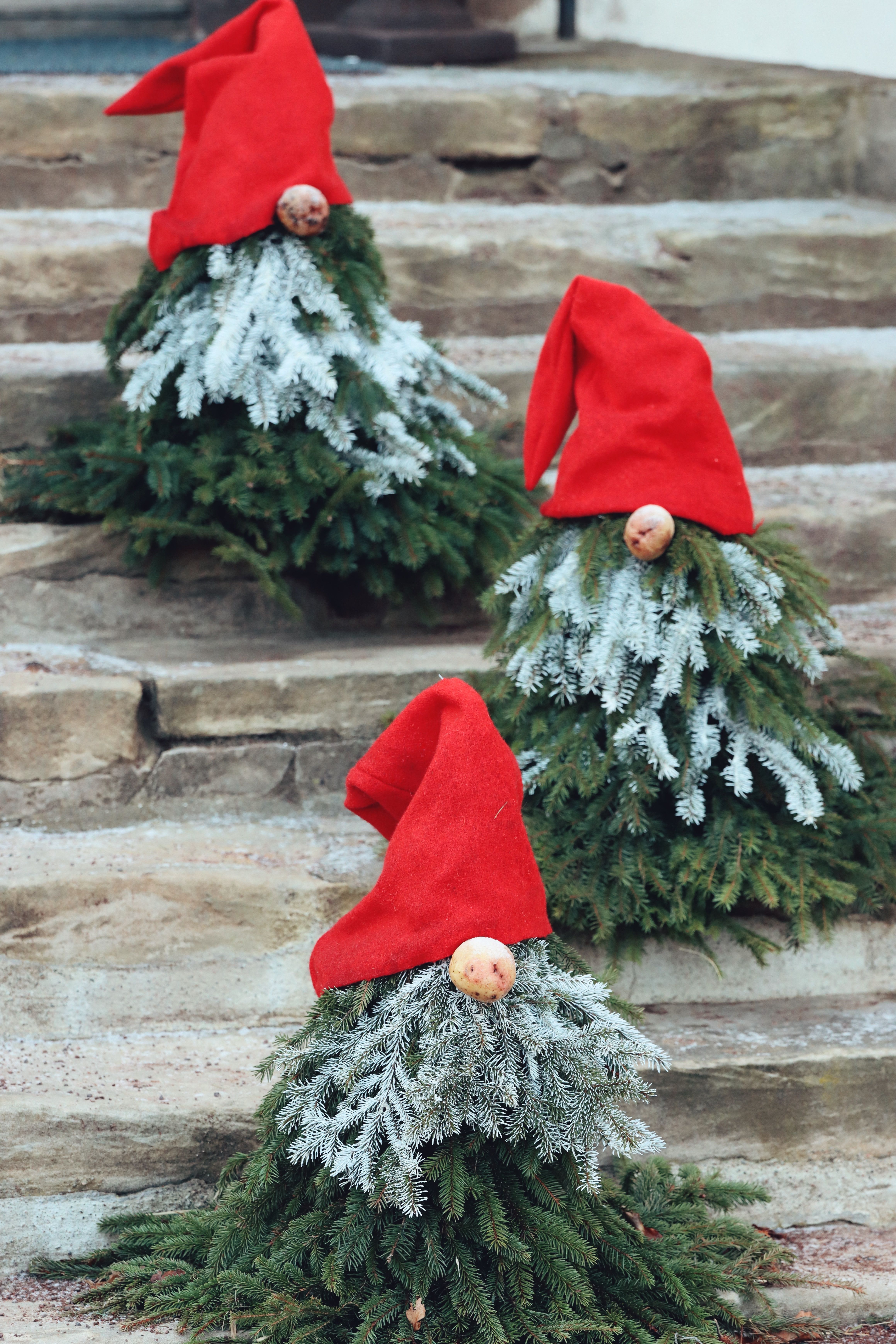 Christmas Gnomes Decorated with Evergreen Branches · Free Stock Photo