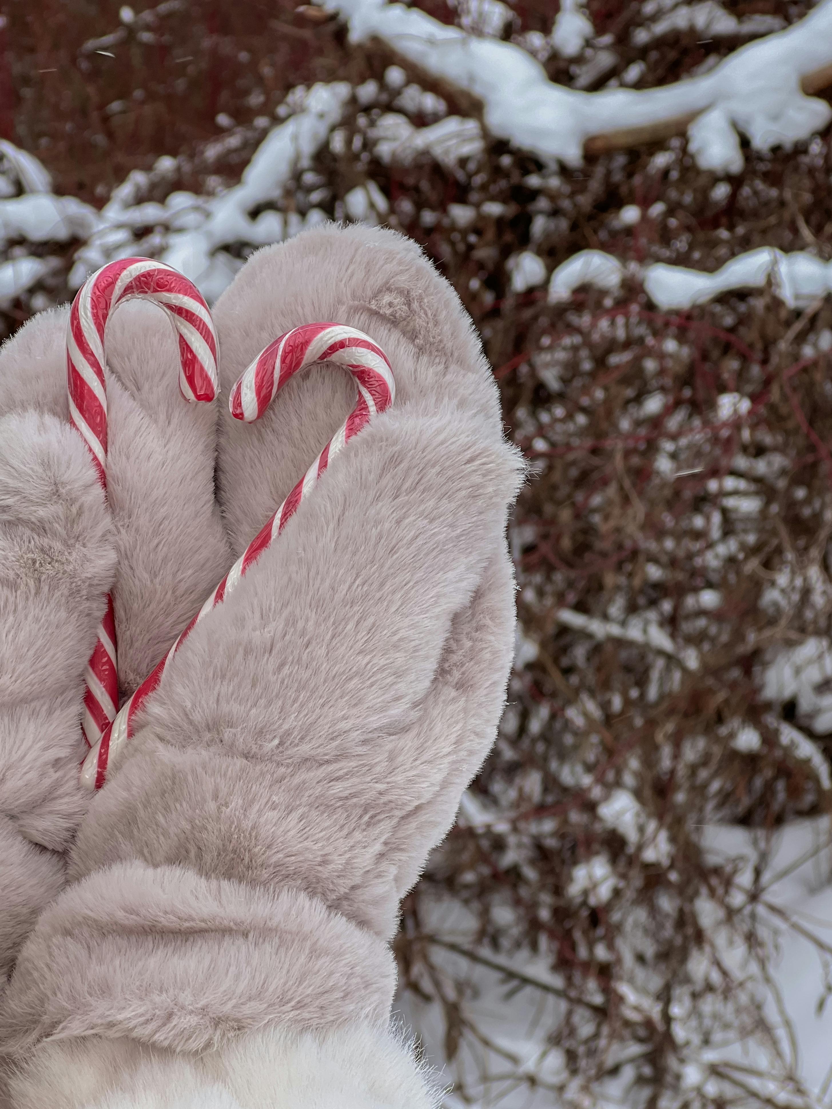 Cozy Mittens Holding Candy Canes in Winter Snow · Free Stock Photo