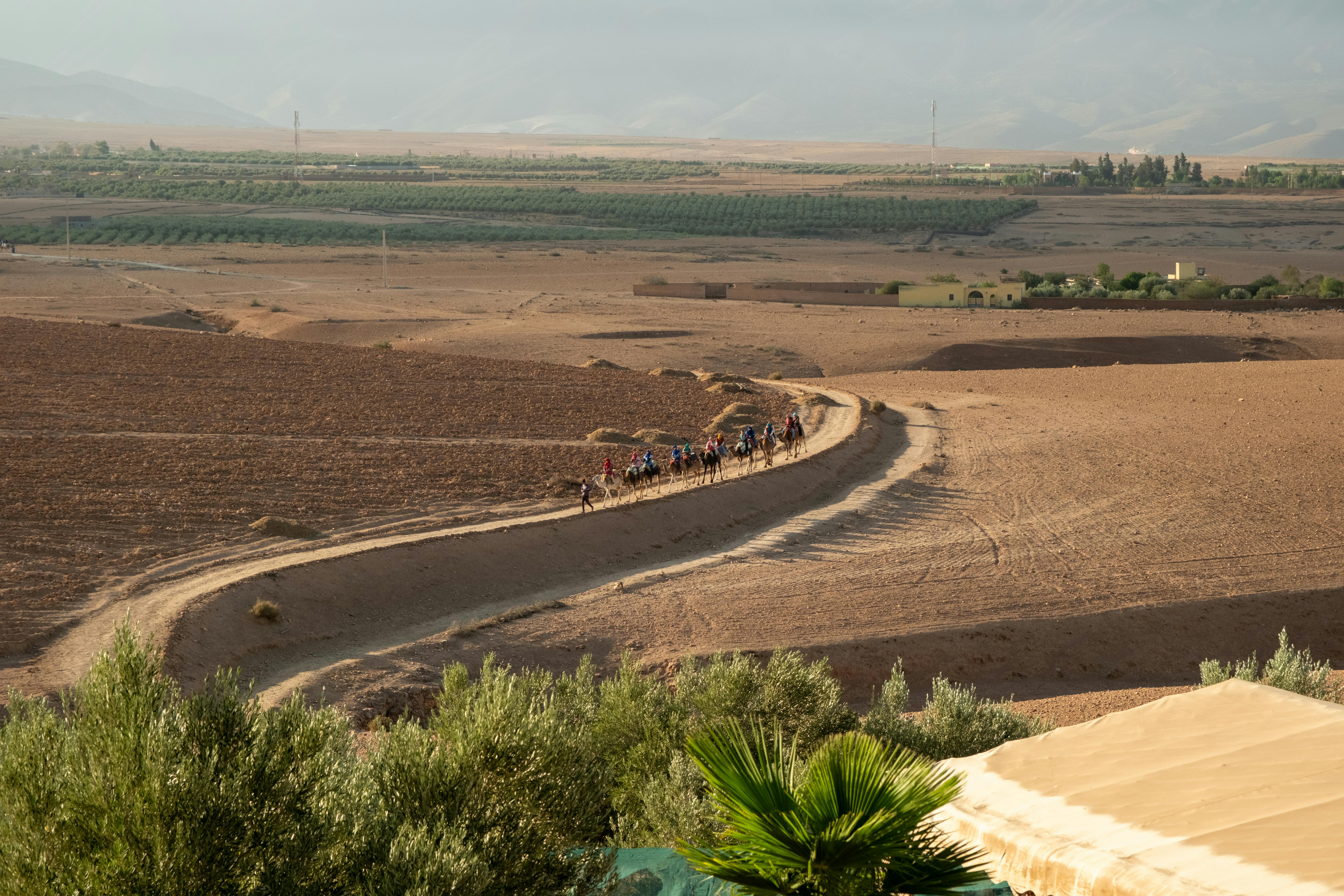 Camel Caravan in Marrakesh Desert Landscape · Free Stock Photo