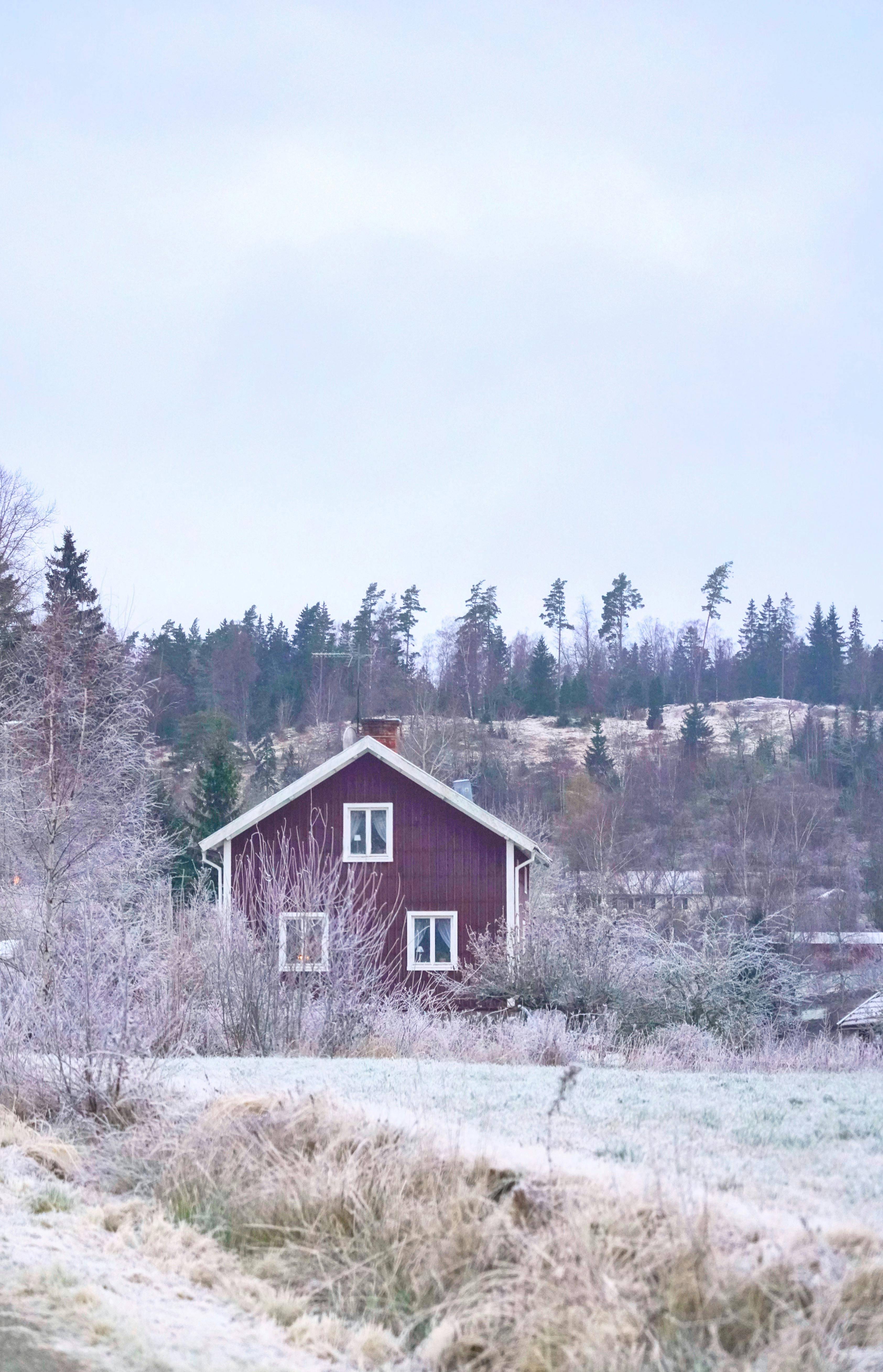 Idyllic Winter Scene with Red Cottage in Frosty Landscape · Free Stock ...