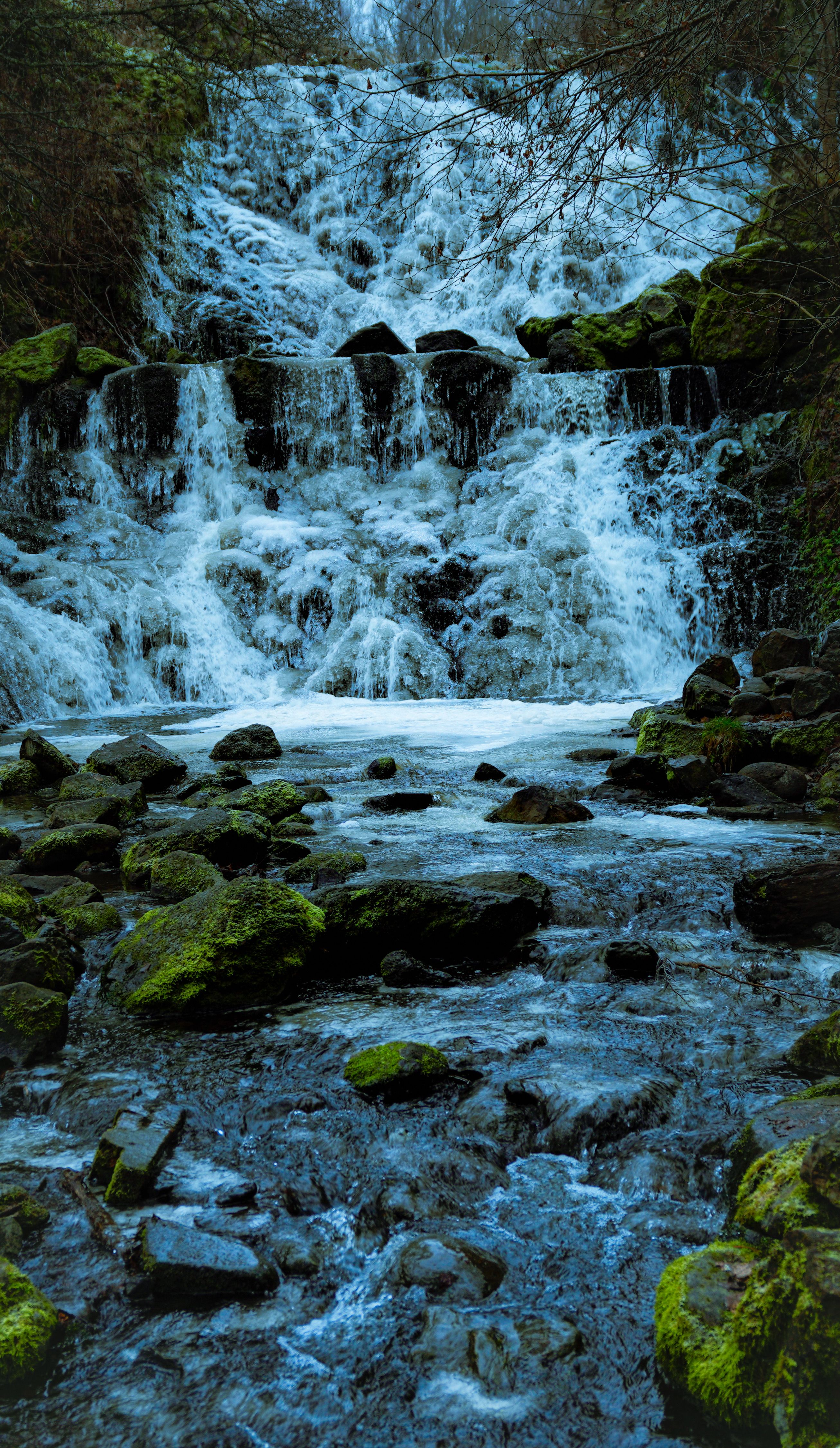 Majestic Waterfall Cascading in Serene Forest · Free Stock Photo