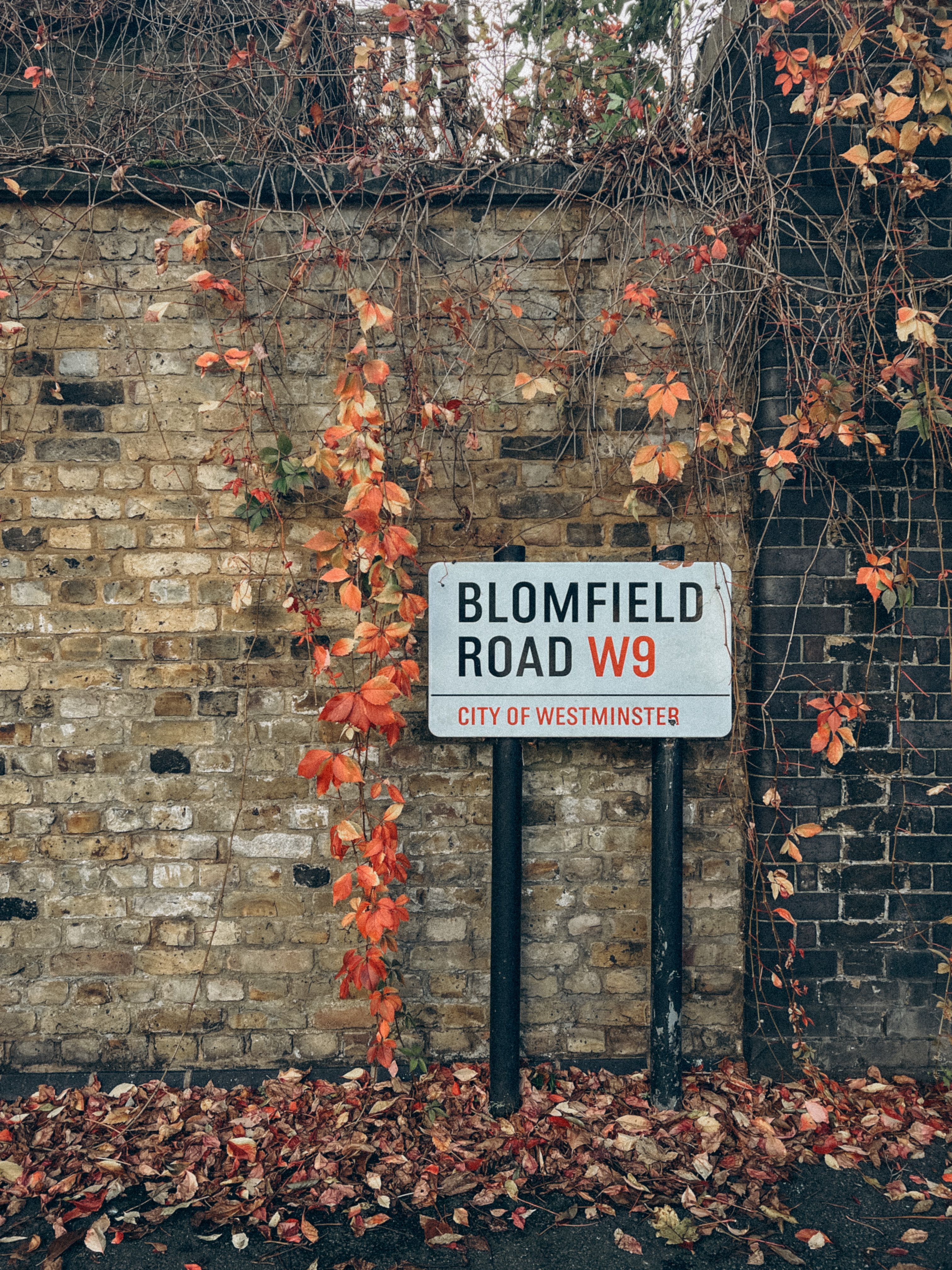 Blomfield Road Sign in Autumn, London · Free Stock Photo