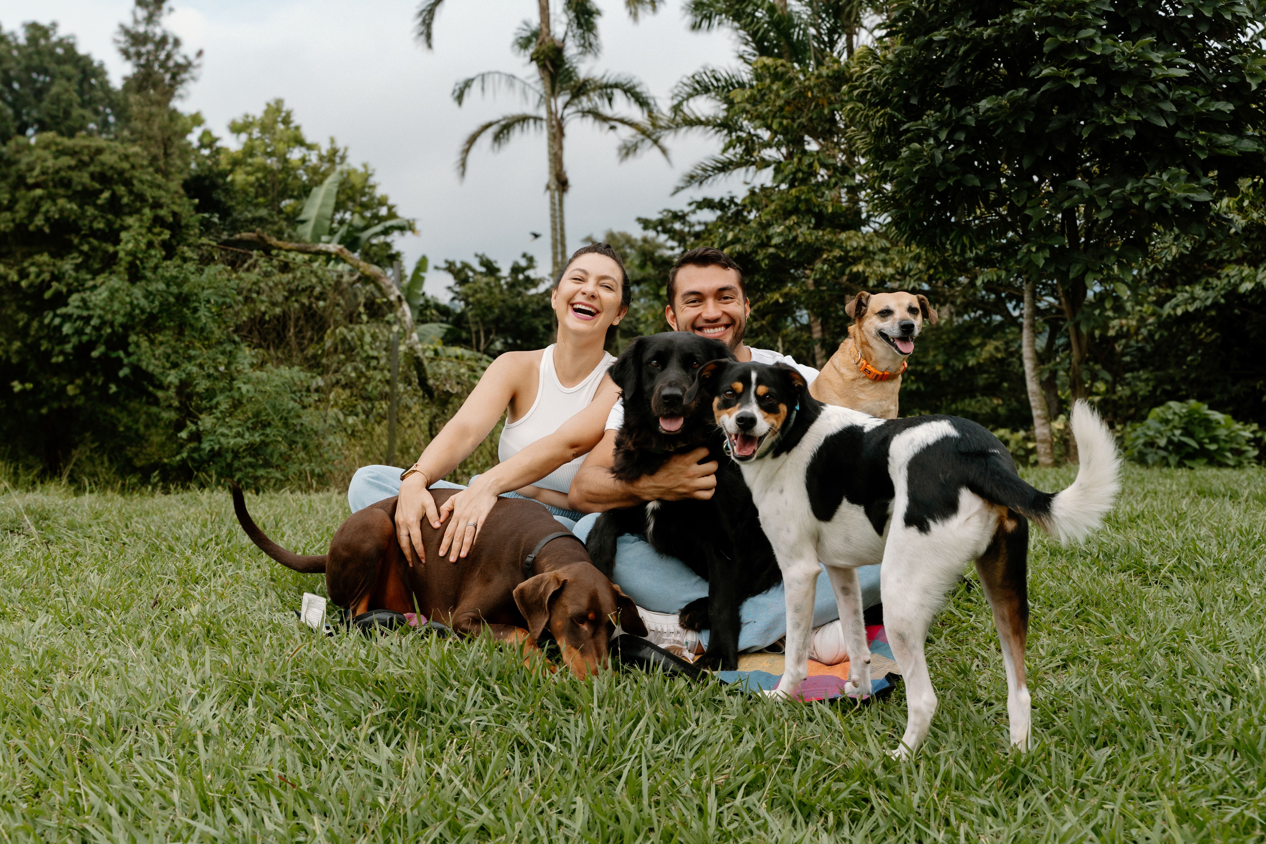 Pareja Feliz Con Perros En Naranjo, Costa Rica · Foto de stock gratuita