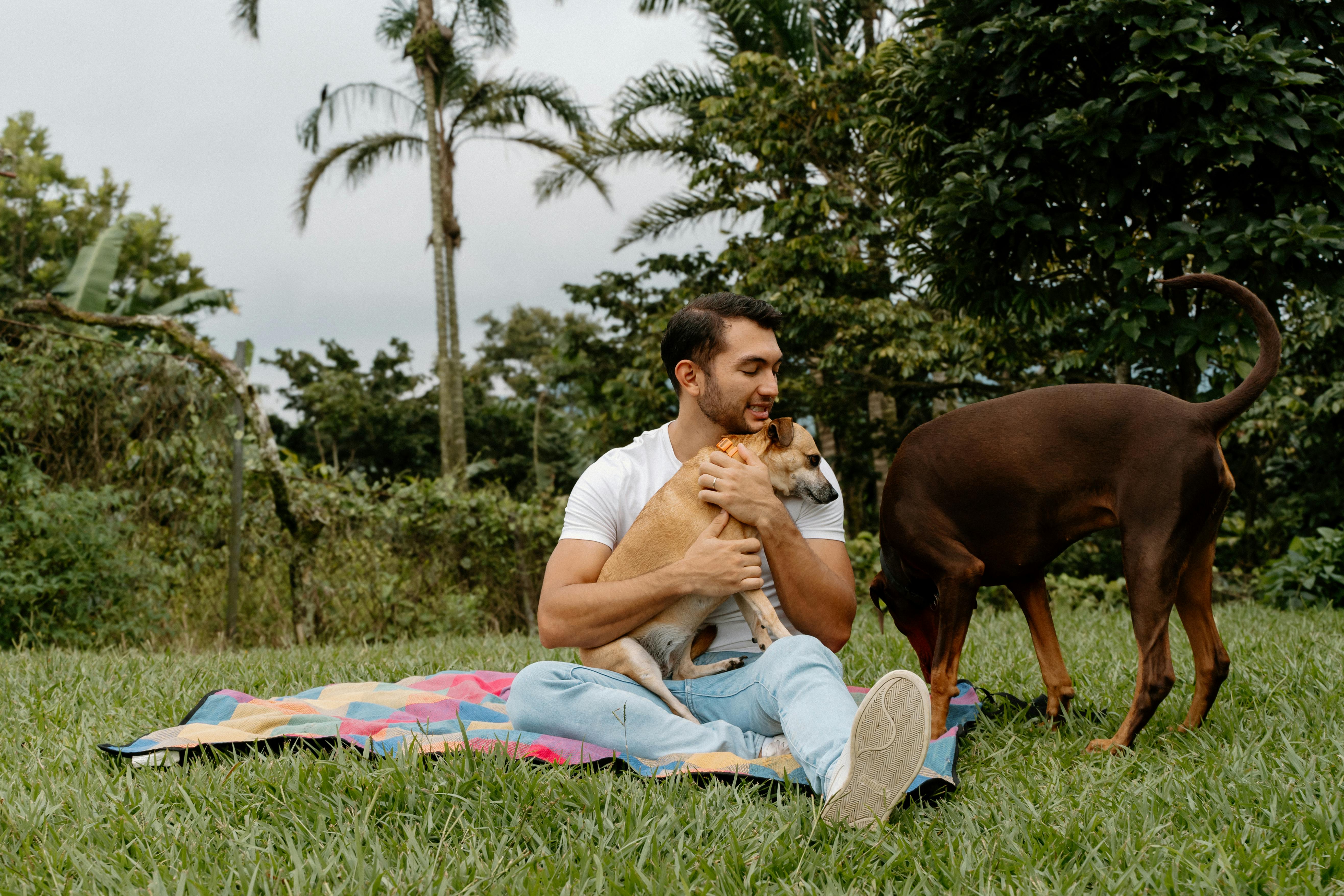 Man Relaxing with Dogs in Costa Rican Garden · Free Stock Photo