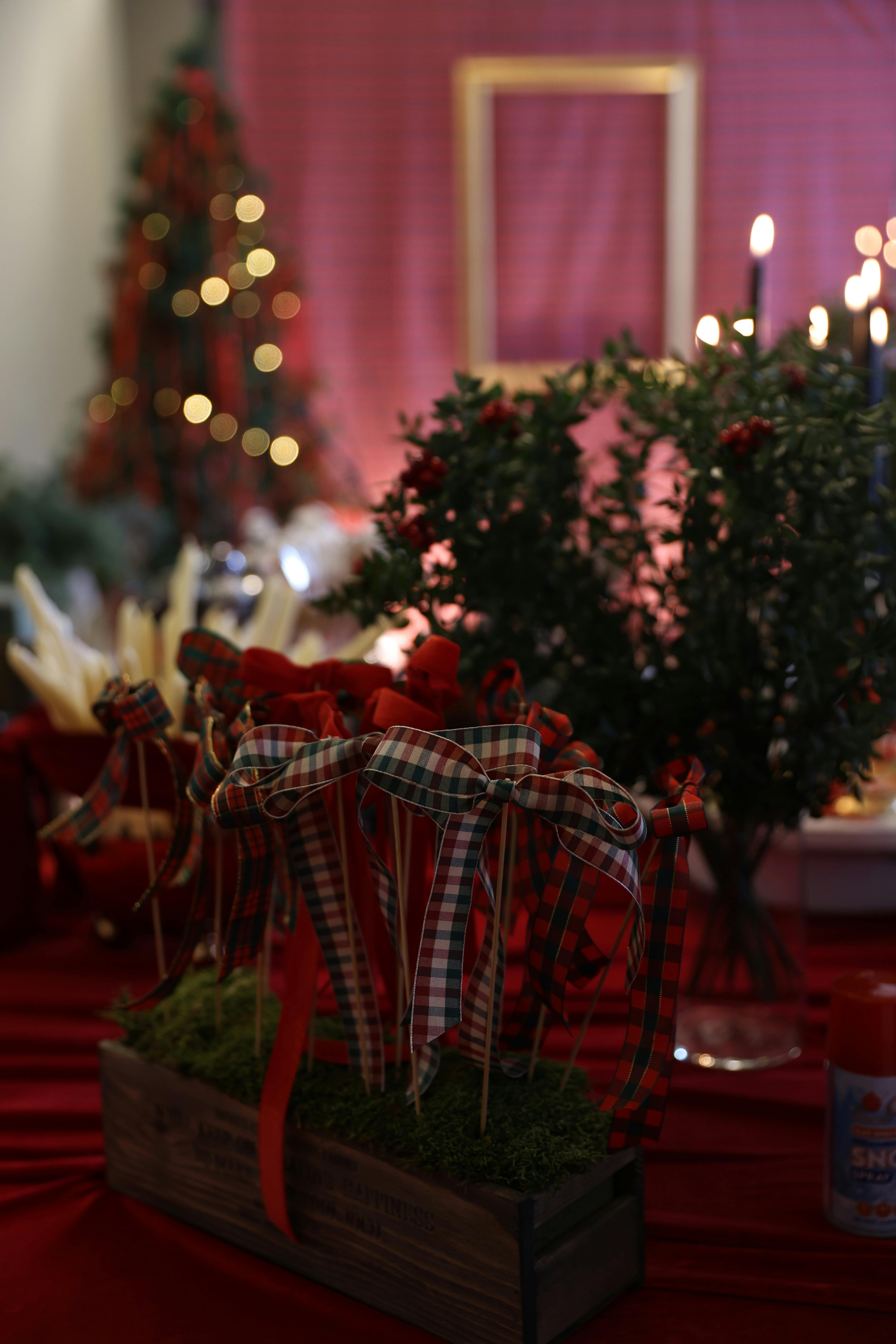 Festive Holiday Decor with Ribbons and Greenery · Free Stock Photo