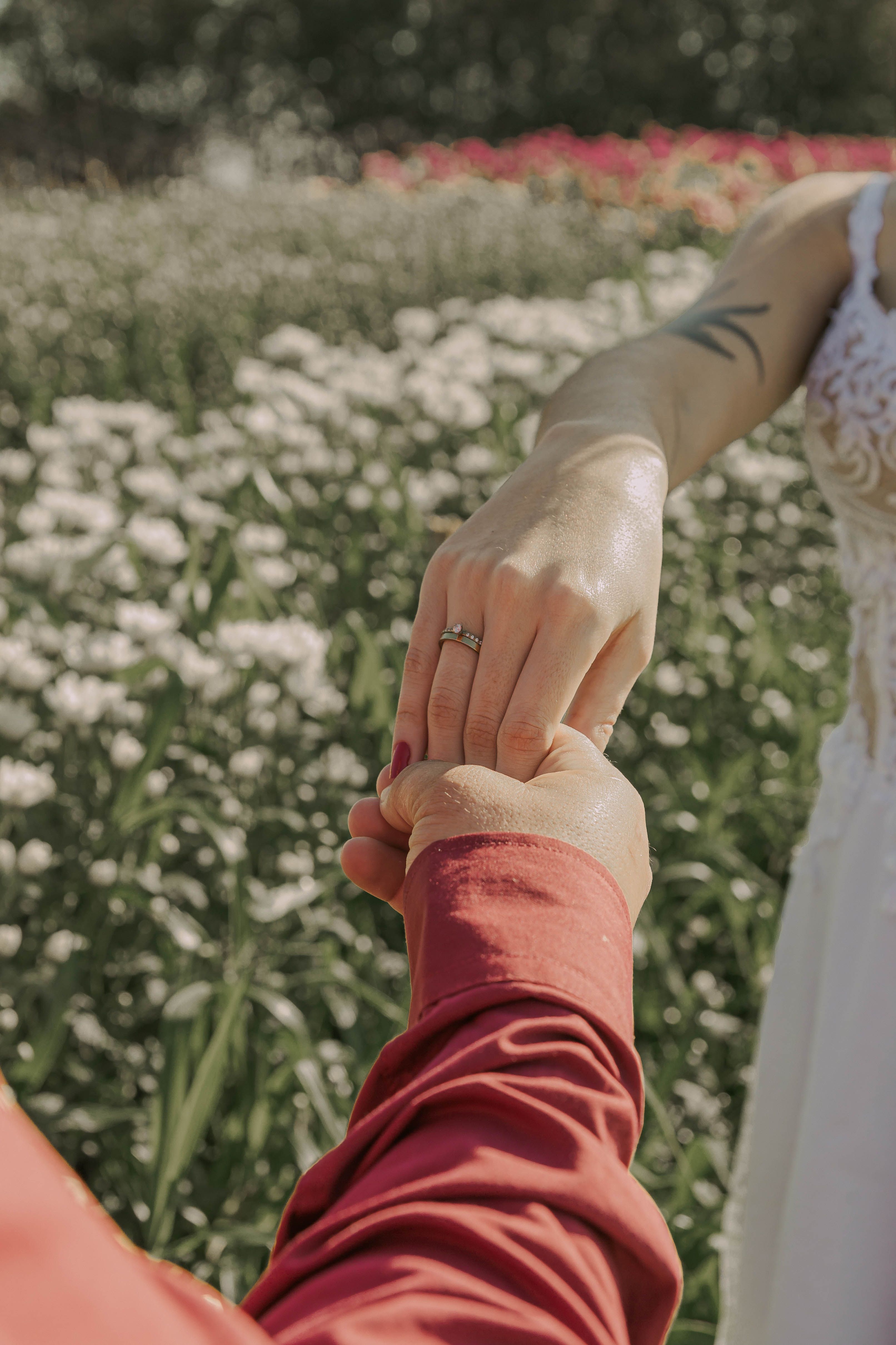 Romantic Couple Holding Hands in a Garden · Free Stock Photo
