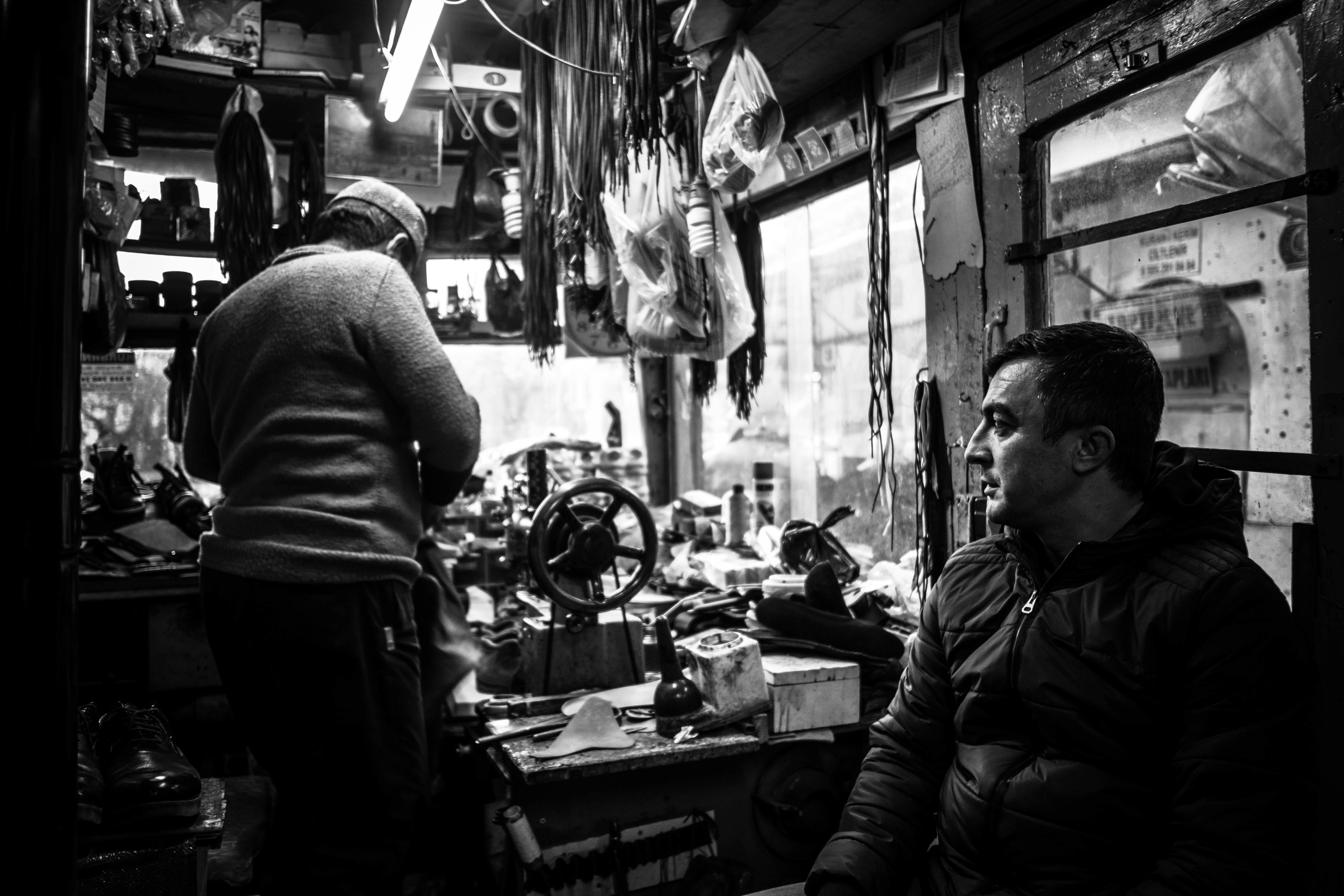 Peril Corum Photos, Download The BEST Free Peril Corum Stock Photos ...