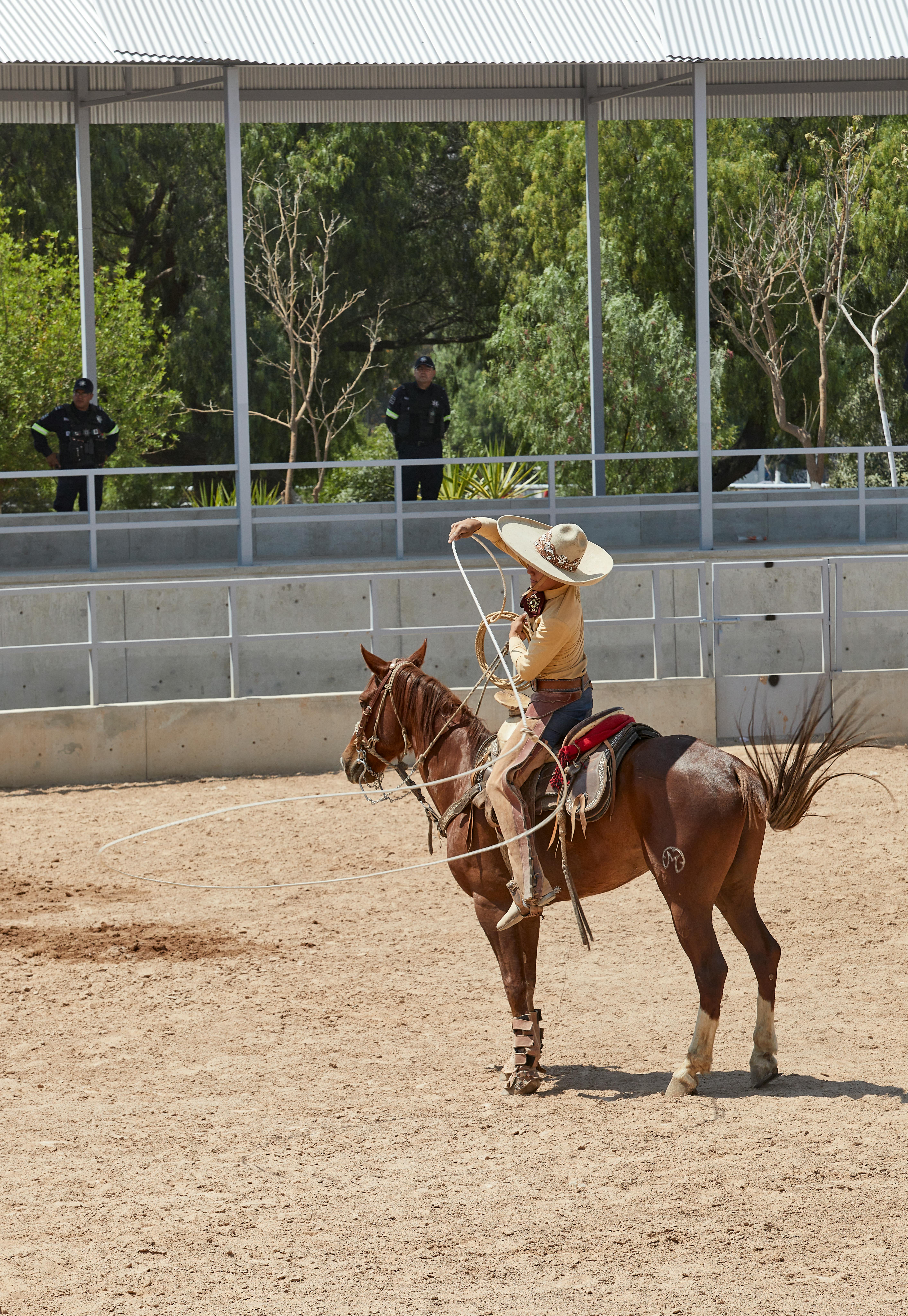 Charro Performing Traditional Rodeo in Mexico · Free Stock Photo