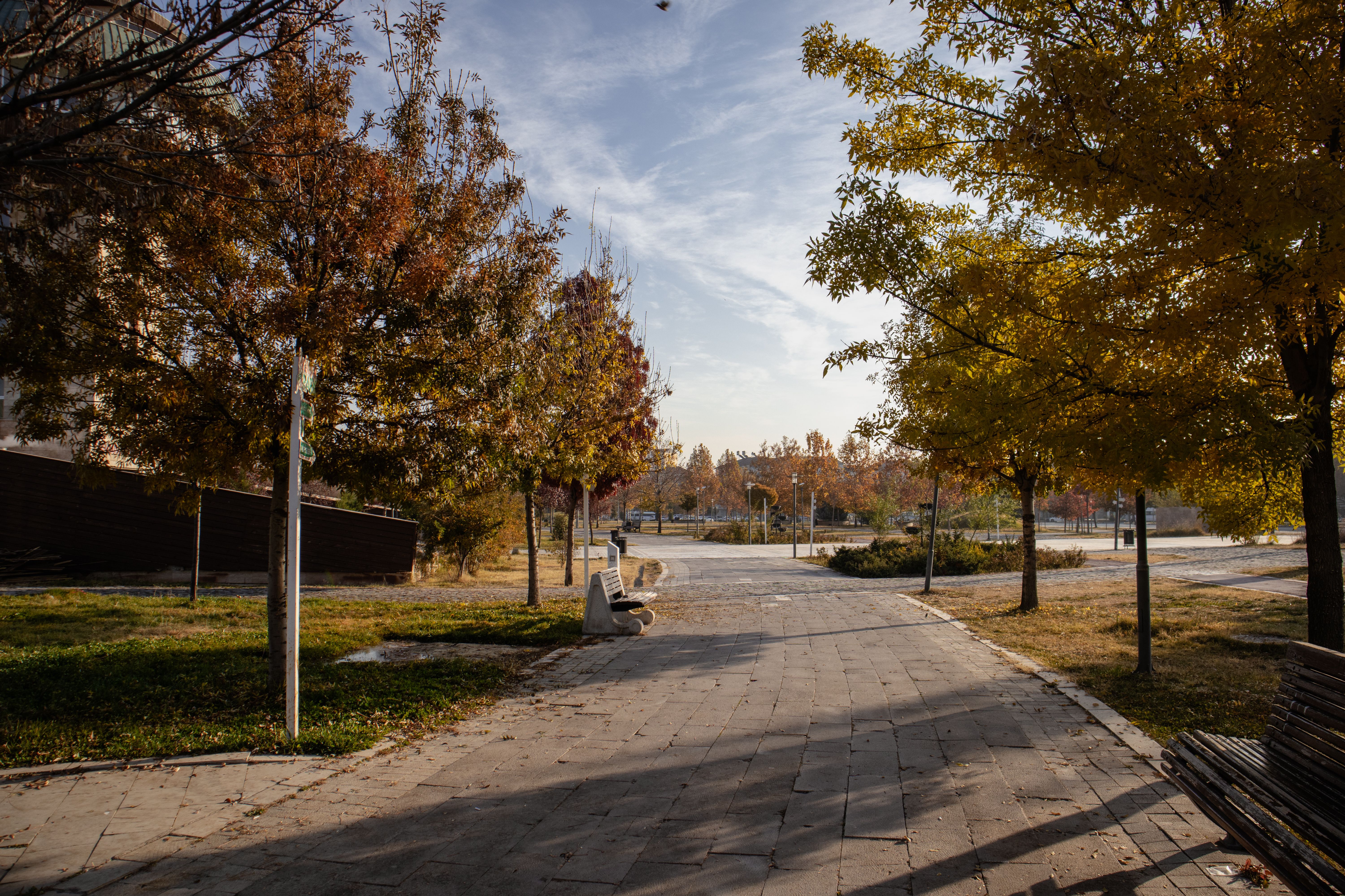 Peaceful Park Pathway in Elâzığ, Türkiye · Free Stock Photo