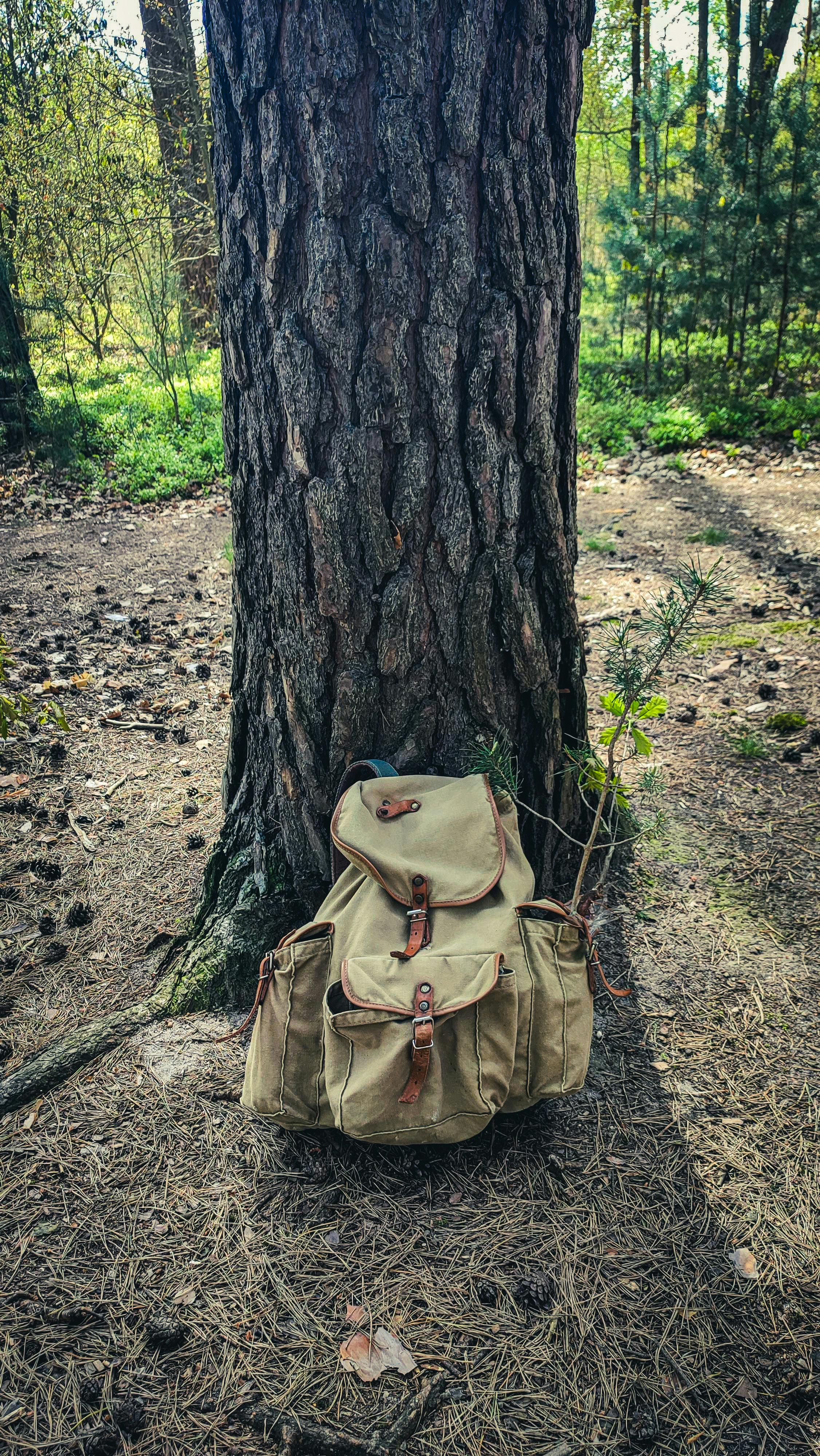 Canvas Backpack Leaning on Tree in Forest · Free Stock Photo
