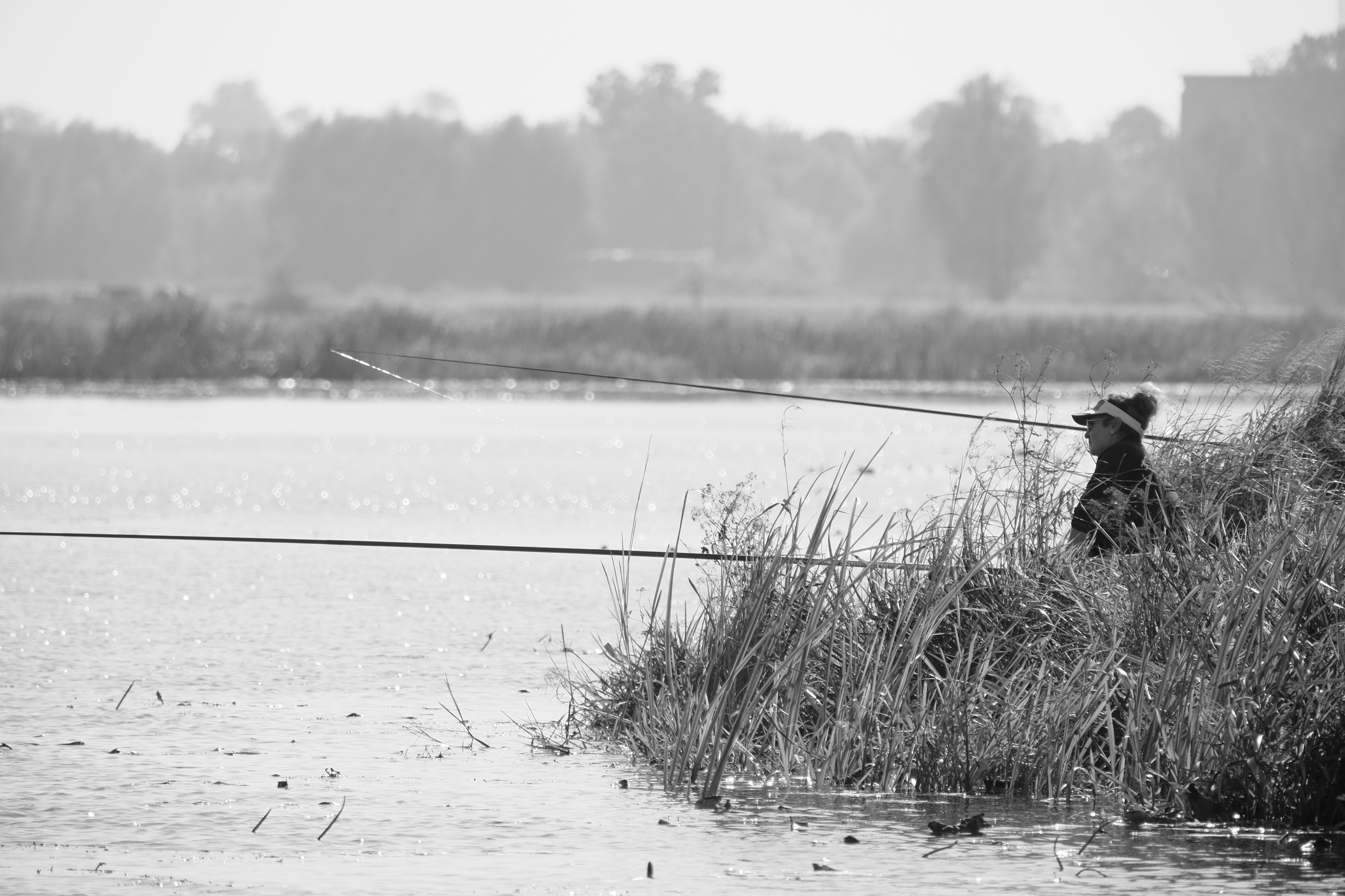 Angler Fishing in Tranquil Riverside Scene · Free Stock Photo