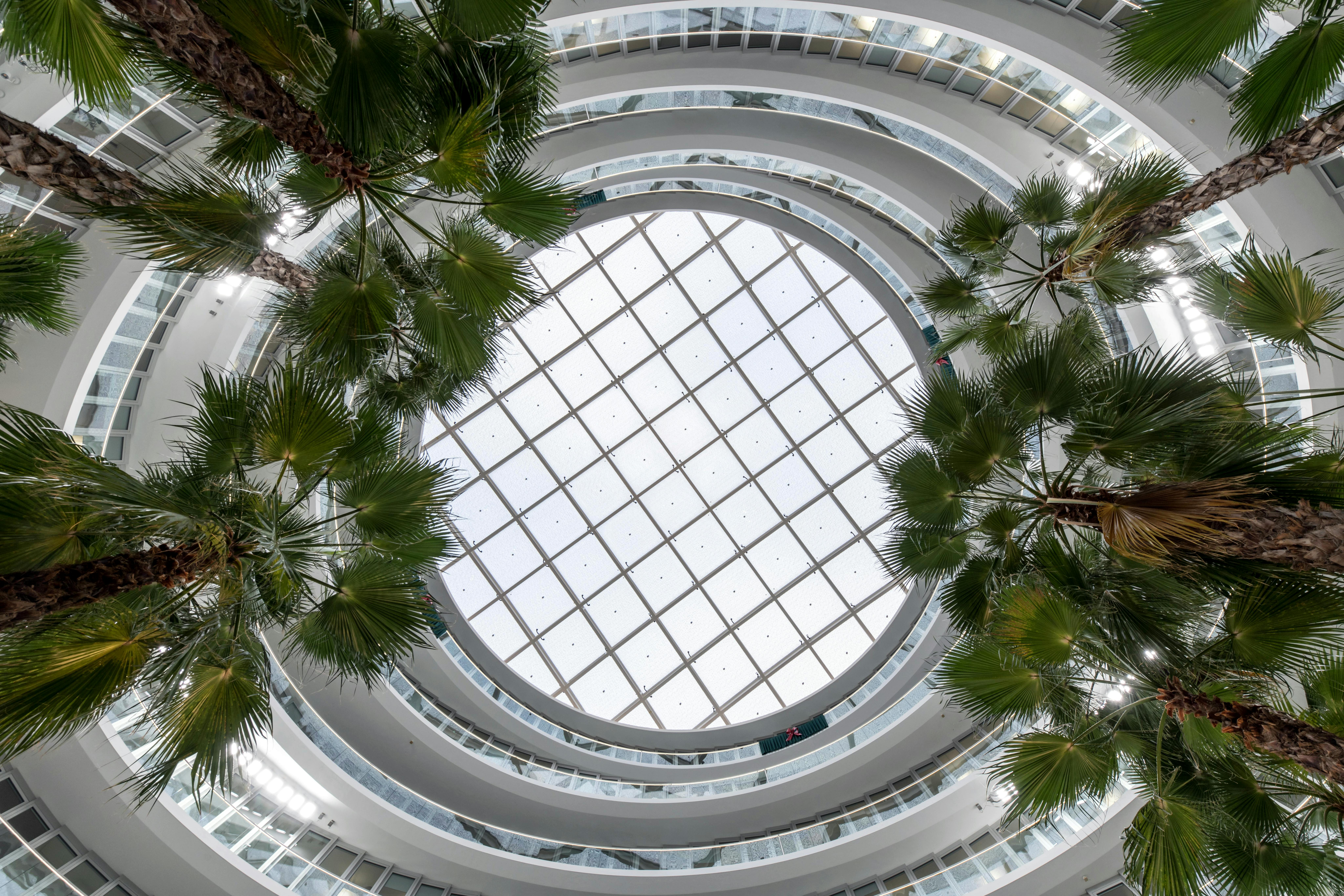 Inside View of Modern Architectural Dome in Hamburg · Free Stock Photo