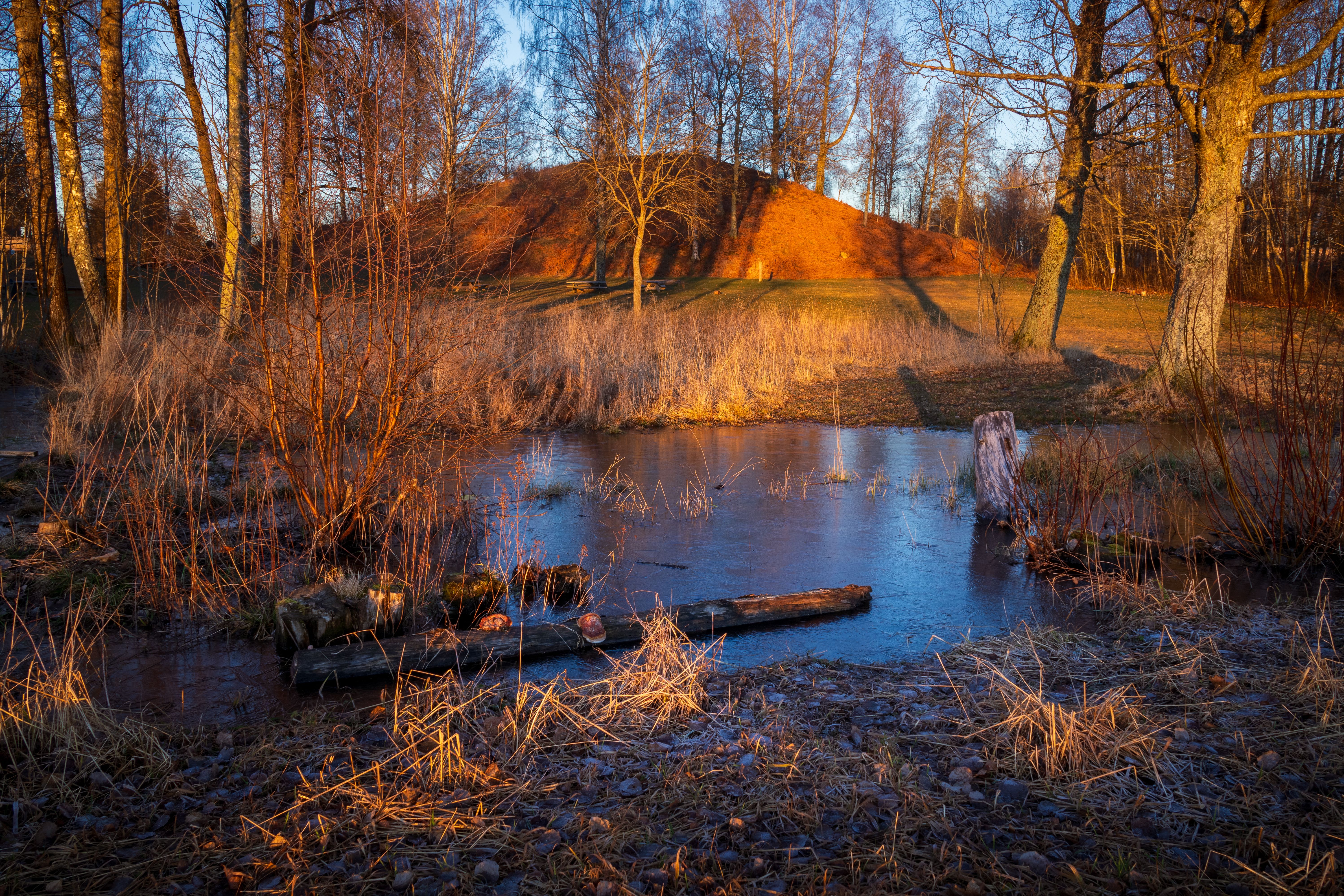 Serene Frozen Pond at Sunset in Winter Landscape · Free Stock Photo