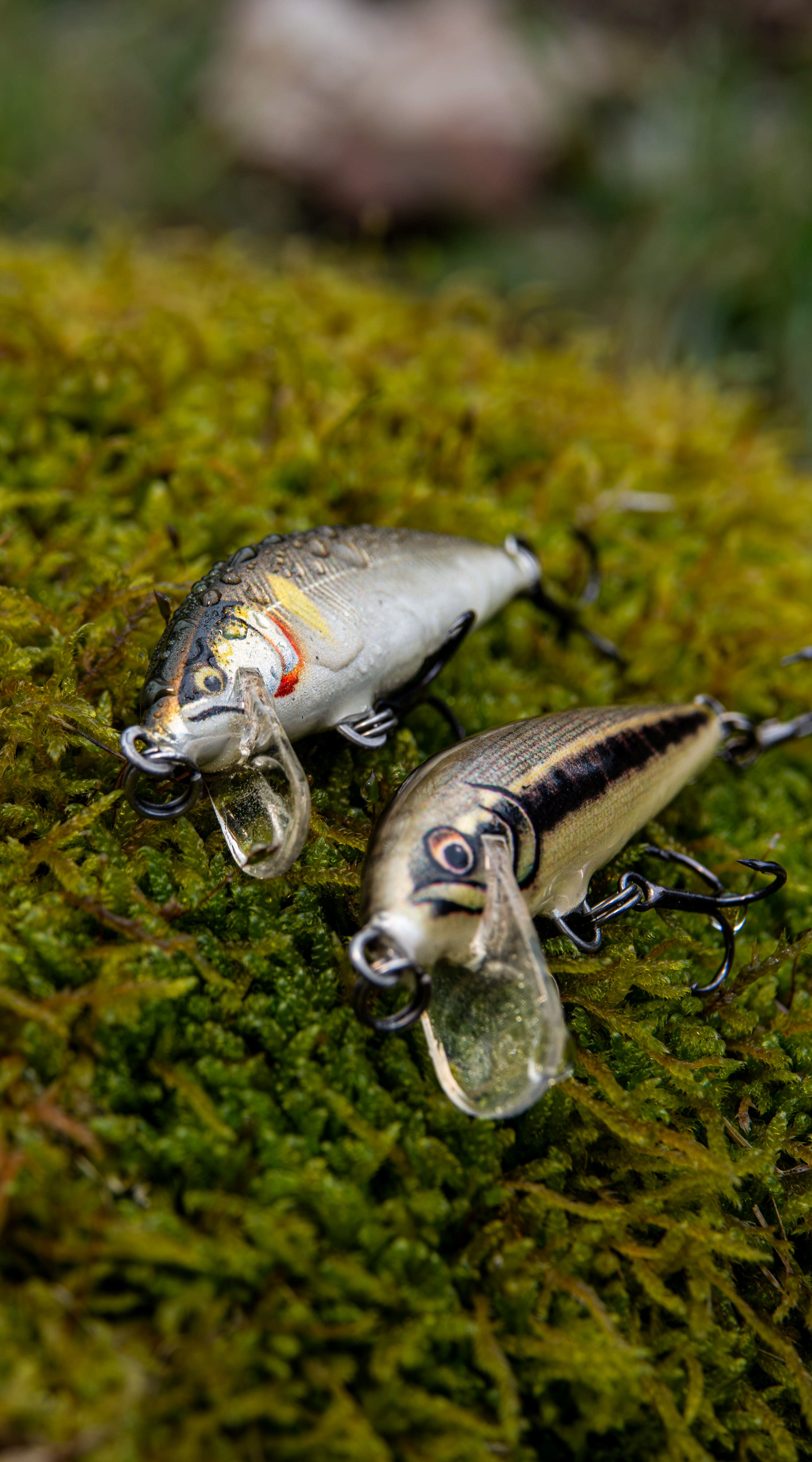 Fishing Baits in Close-Up Photography · Free Stock Photo
