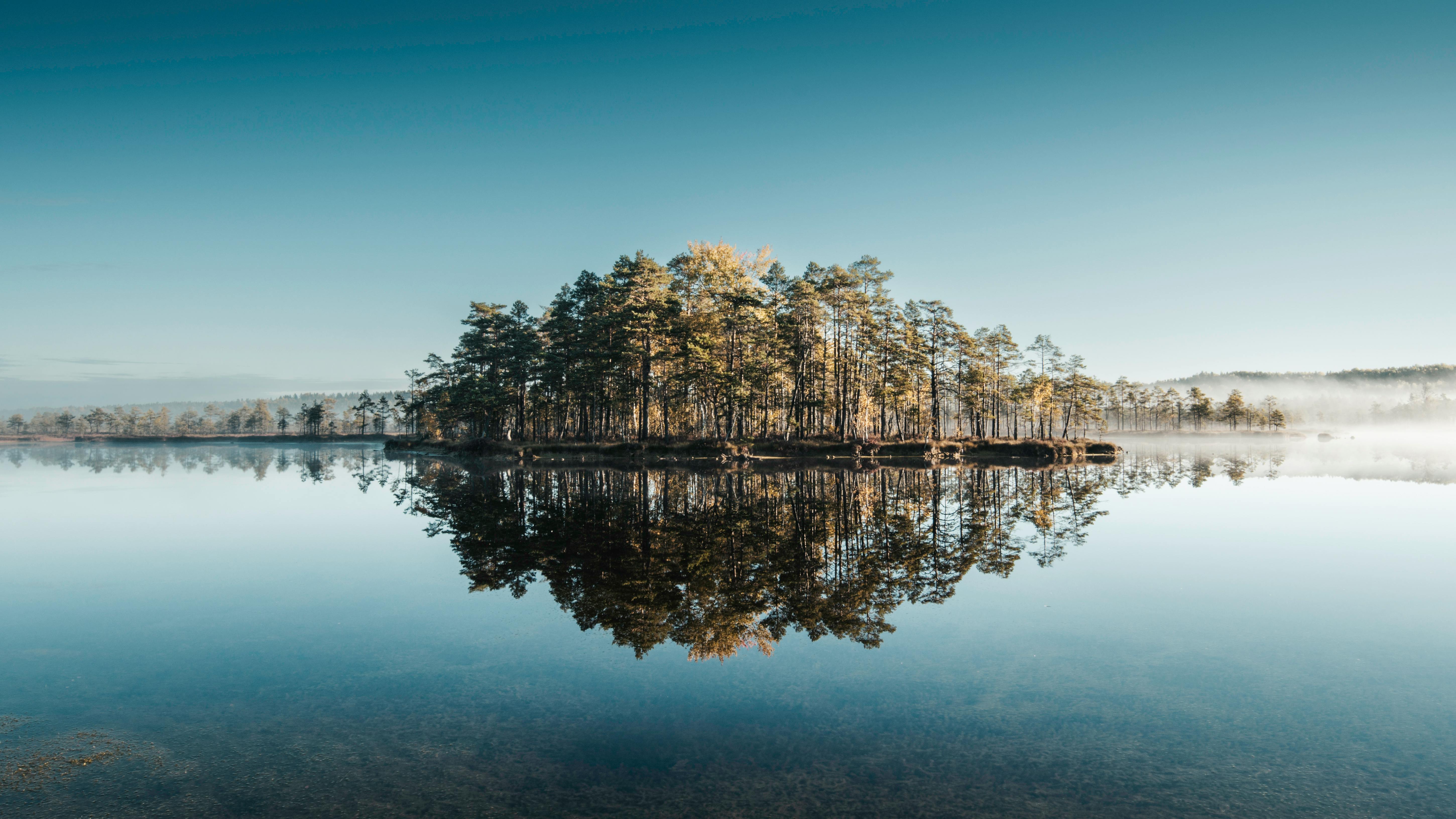 Kivisaar Photos, Download The BEST Free Kivisaar Stock Photos & HD Images