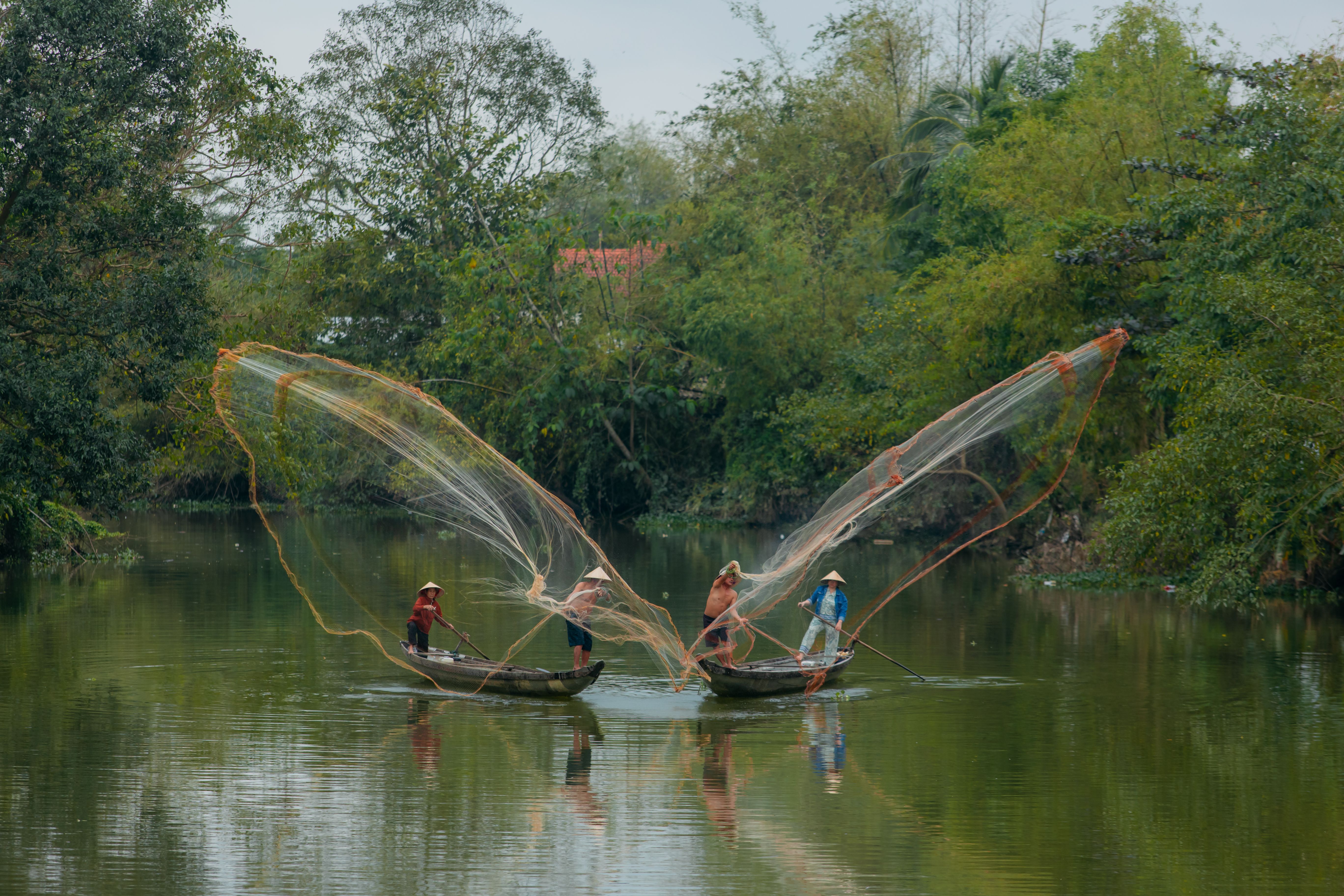 Fishing Nets Photos, Download The BEST Free Fishing Nets Stock Photos ...