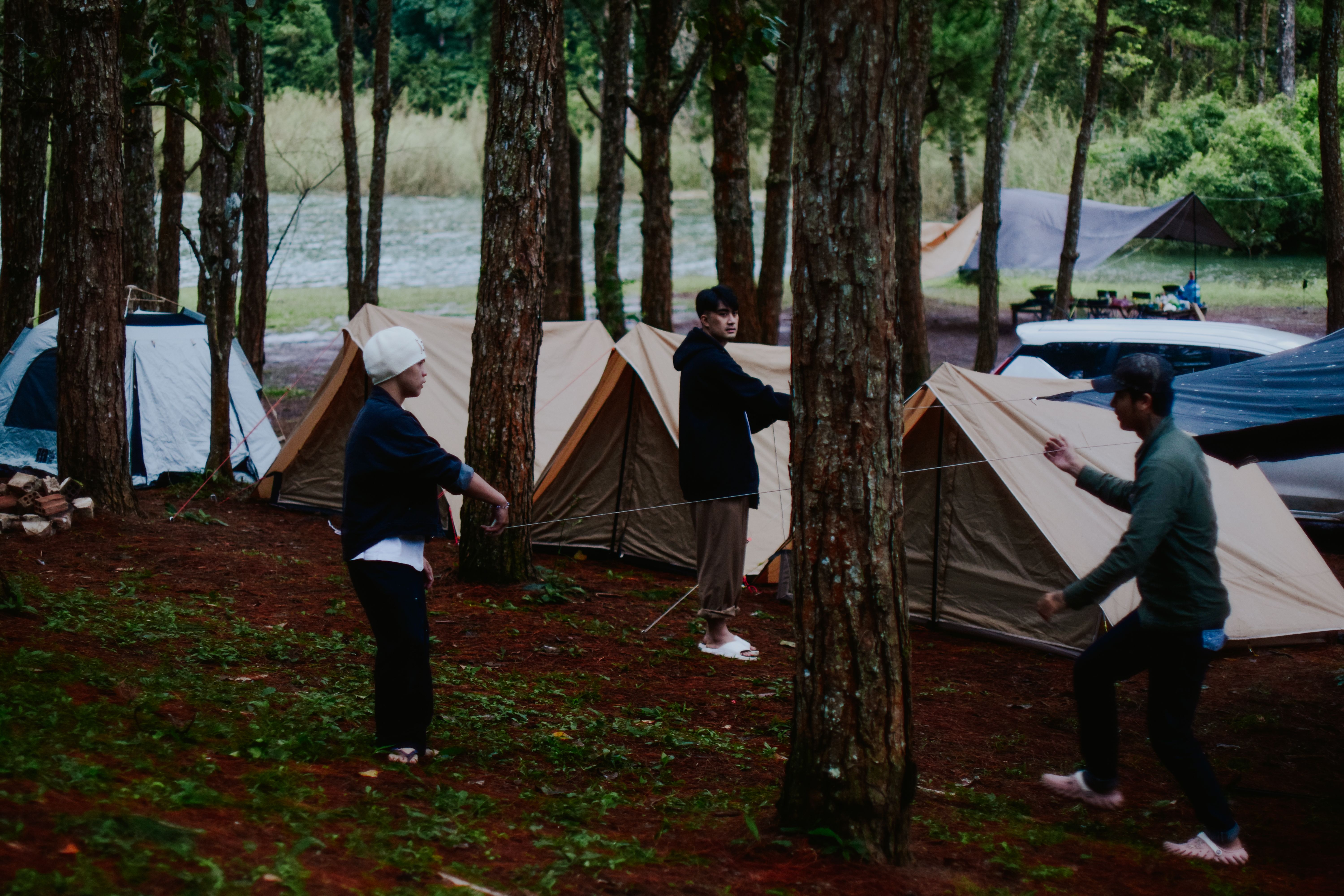 Outdoor Camping Scene with Friends Setting Up Tents · Free Stock Photo