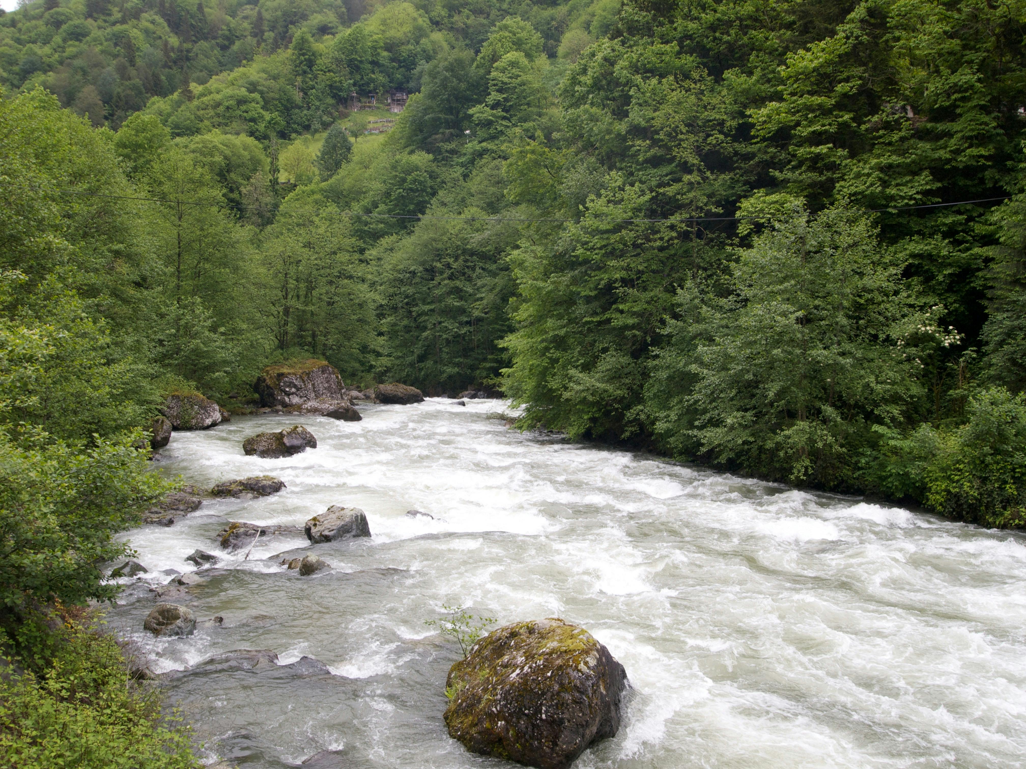 Picturesque River Landscape in Rize, Türkiye · Free Stock Photo