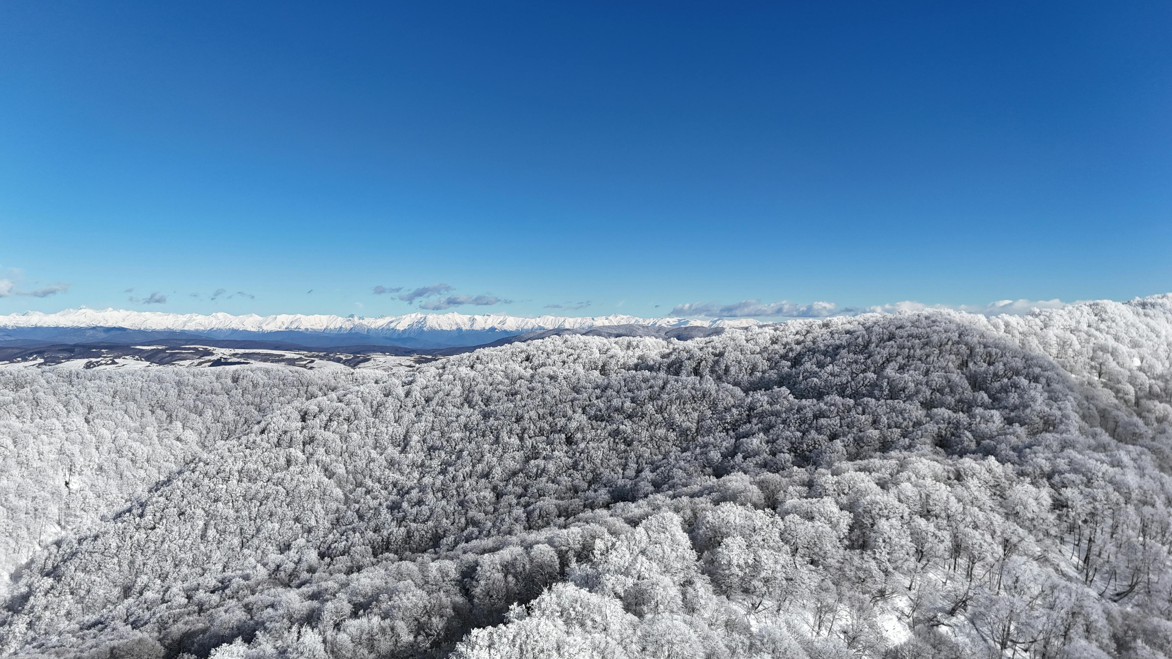 Breathtaking Aerial View of Snowy Tbilisi Forest · Free Stock Photo