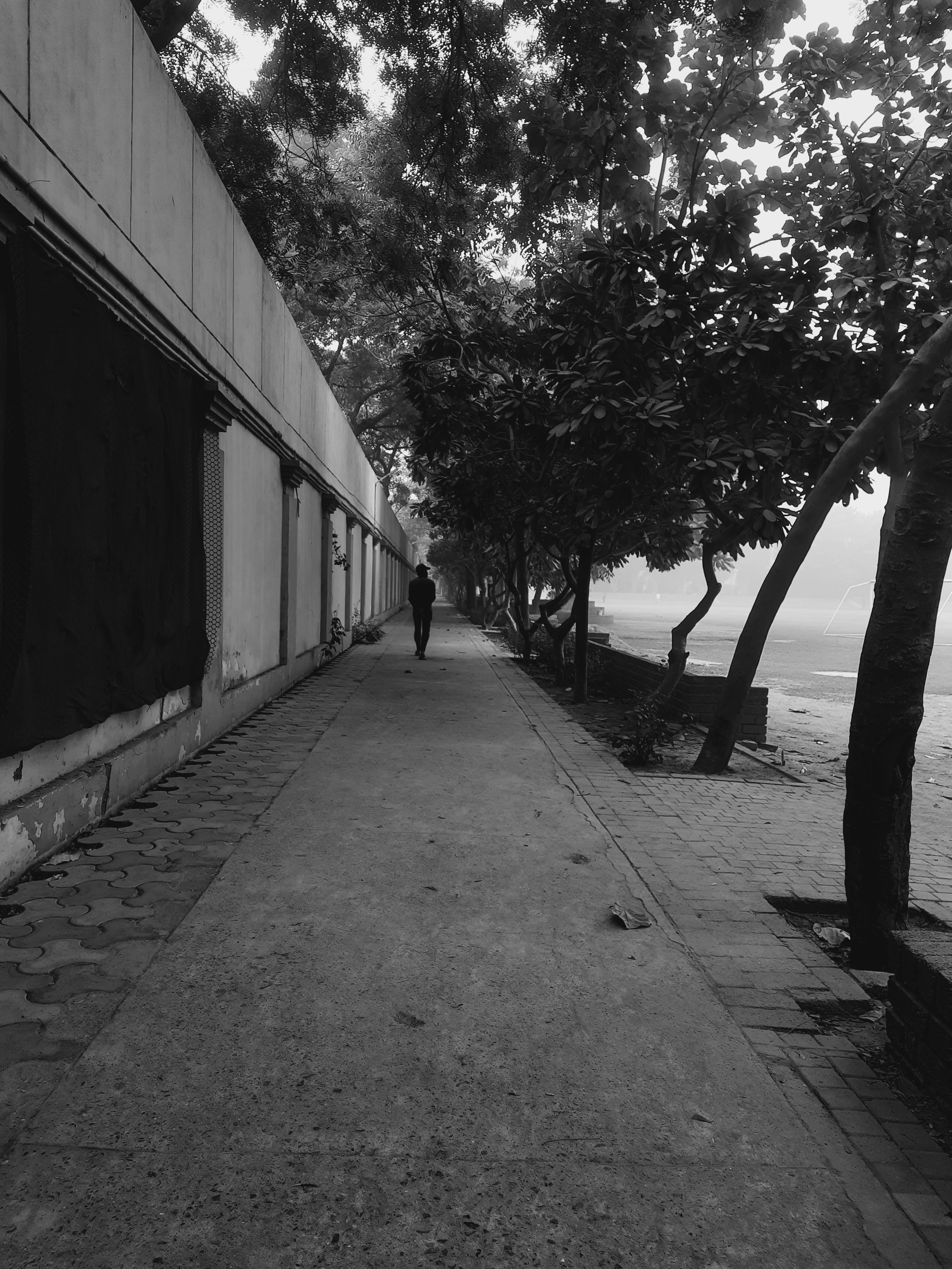 Lonely Walk on a Quiet Urban Street · Free Stock Photo